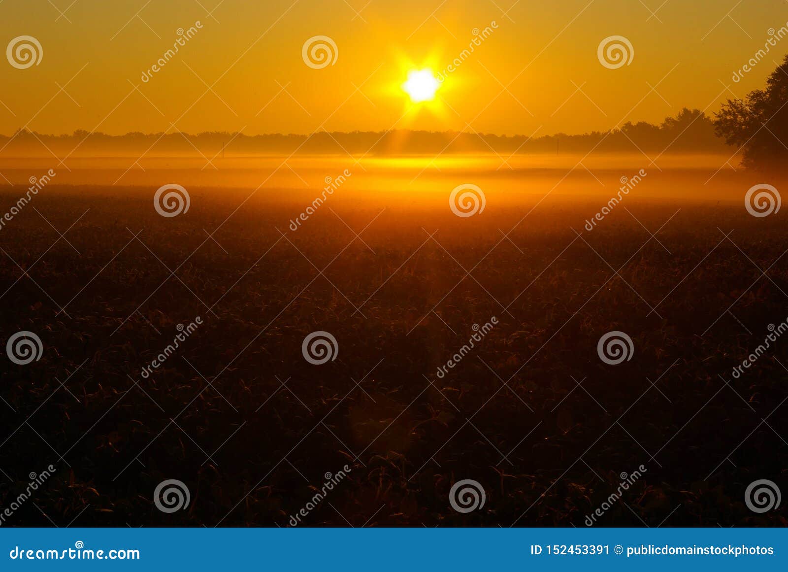 Sunrise From KOA North Of Springfield, Illinois - September 27, 2008 ...
