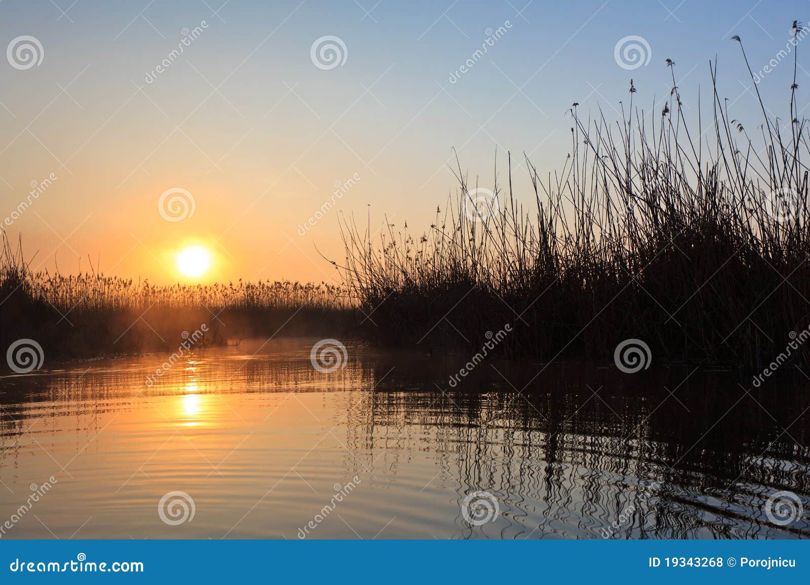 Sunrise lake stock photo. Image of background, morning - 19343268