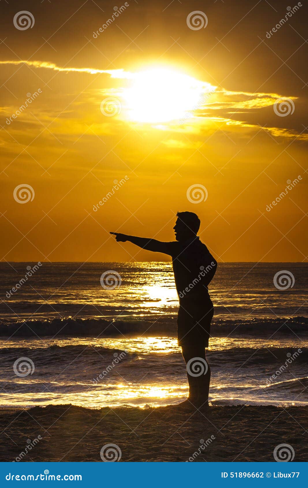 Cat Profile Silhouette, With Beautiful Sunset In The Background Stock ...