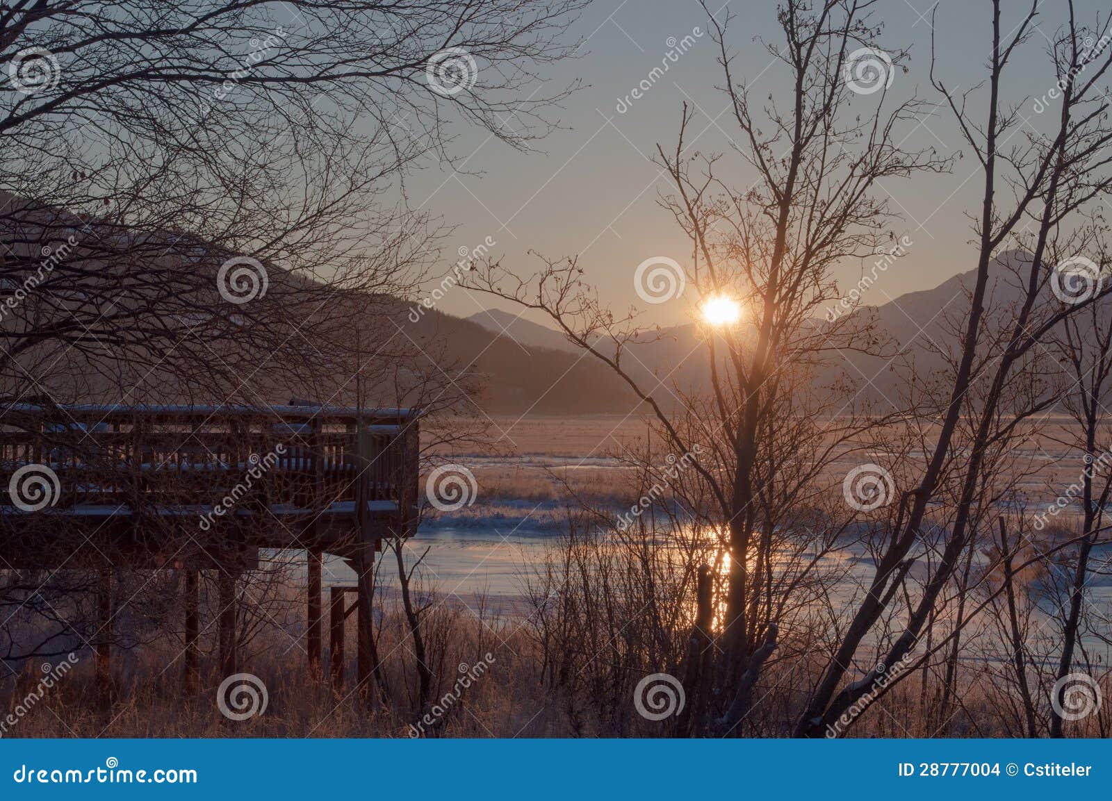 Sunrise in the marsh stock photo. Image of serene, flora - 28777004