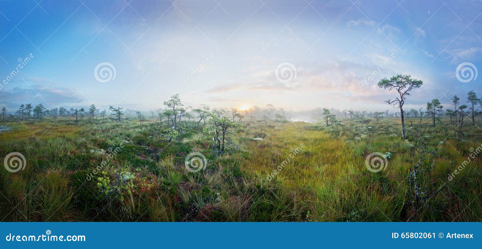 Sunrise stock image. Image of panorama, green, outside - 65802061