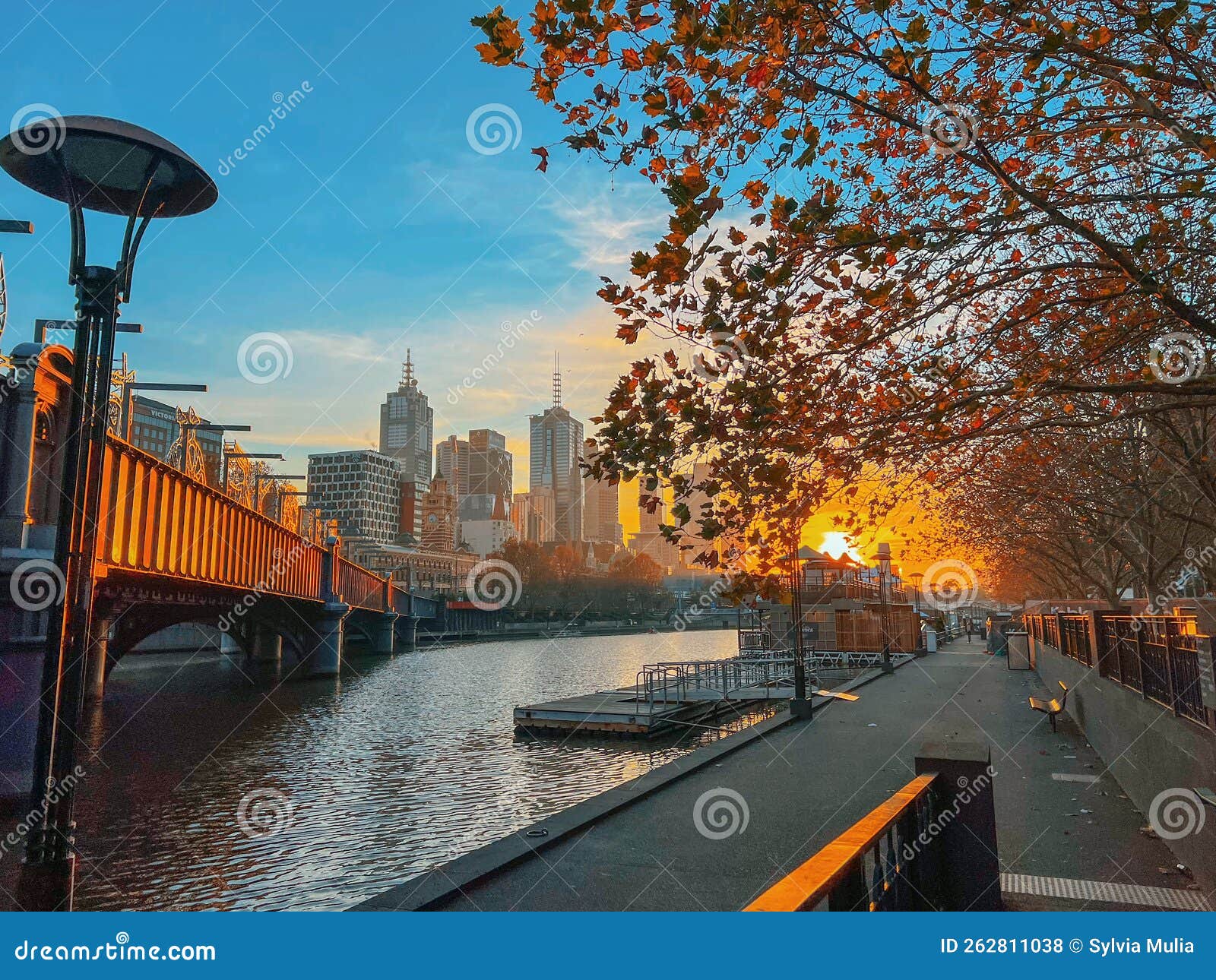 Sunrise in Melbourne editorial stock photo. Image of tree - 262811038