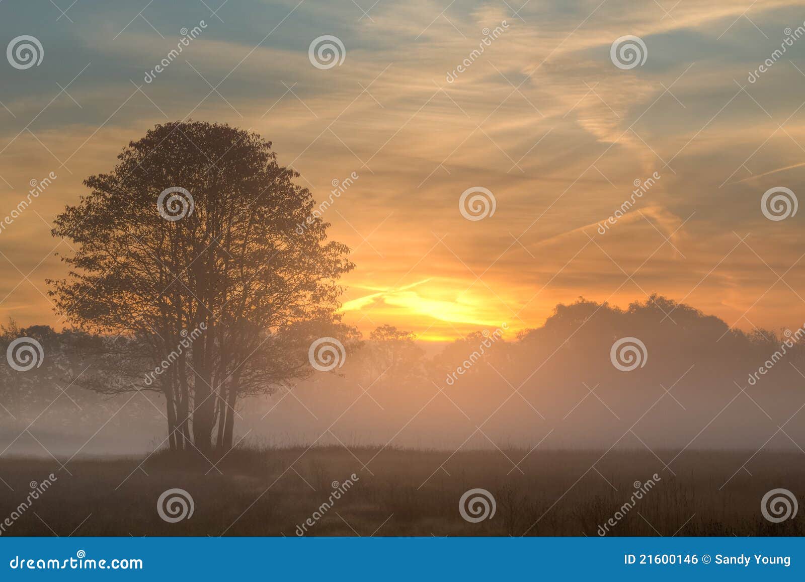 Sunrise through the Mist stock photo. Image of morning - 21600146