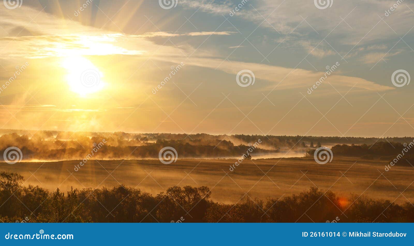 Sunrise Through The Mist In A Tropical Rainforest Stock Photography ...