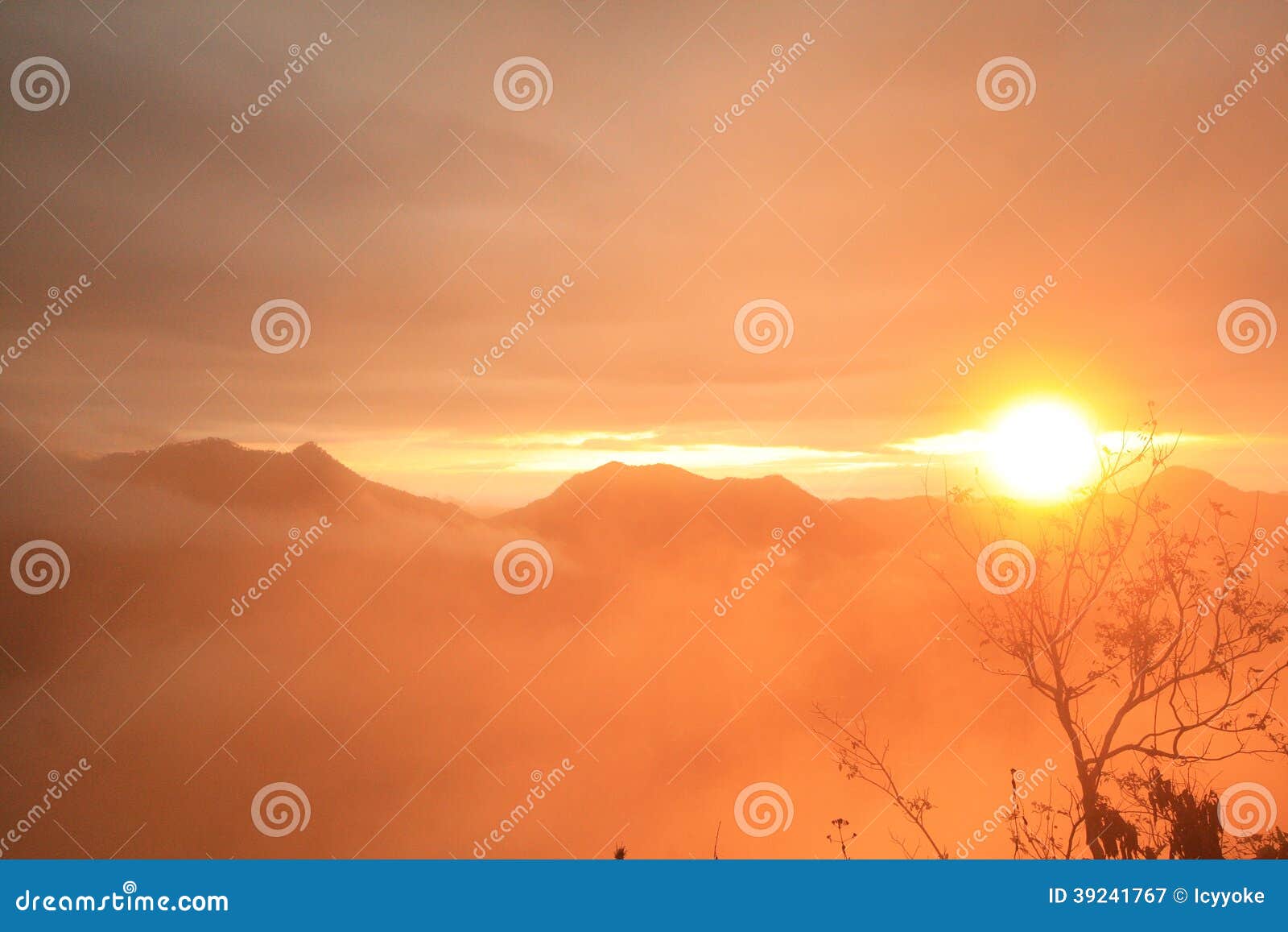 Sunrise in mist stock image. Image of mystery, nature - 39241767