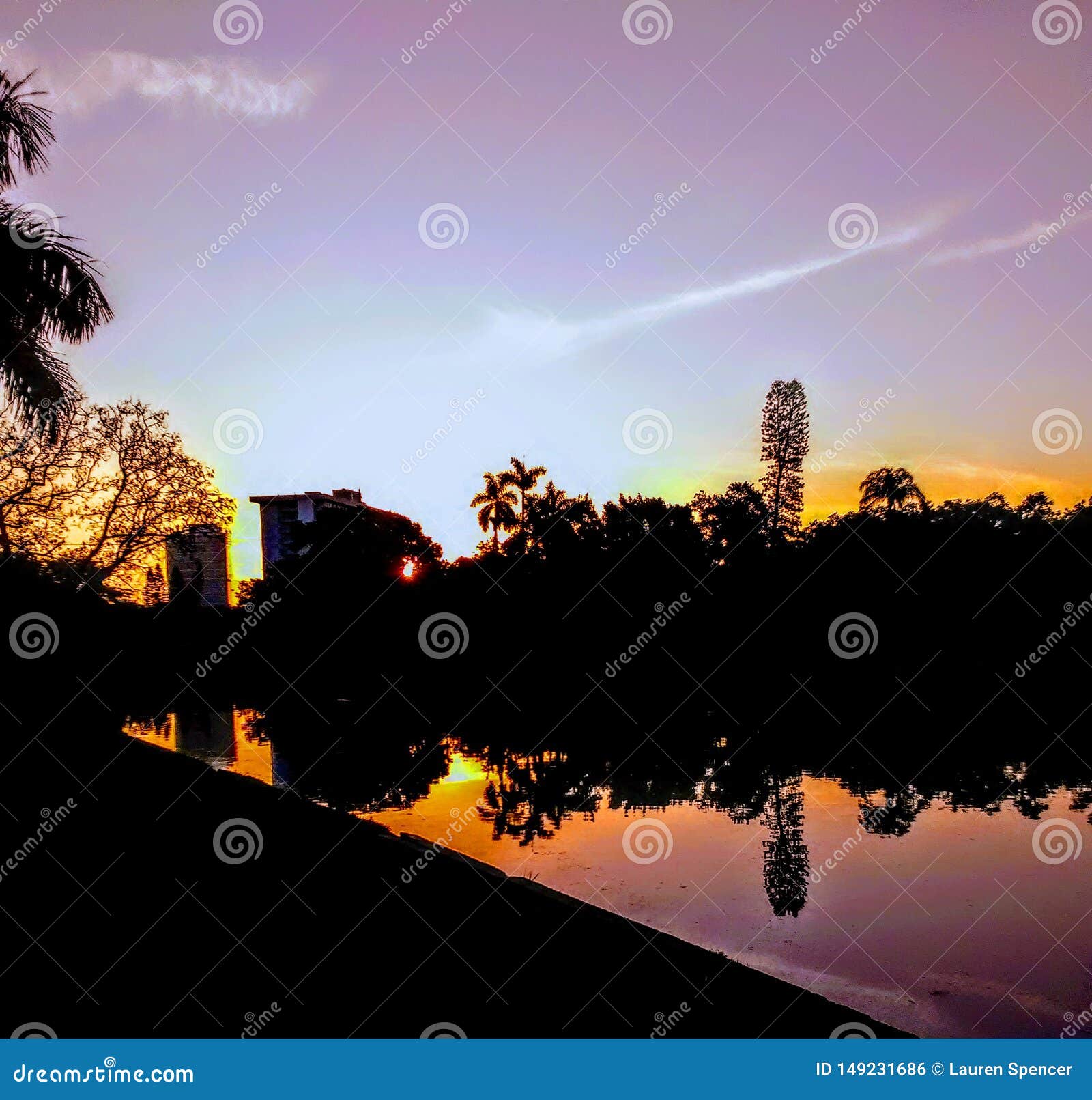 Sunrise mist stock photo. Image of sunrise, contrast - 149231686