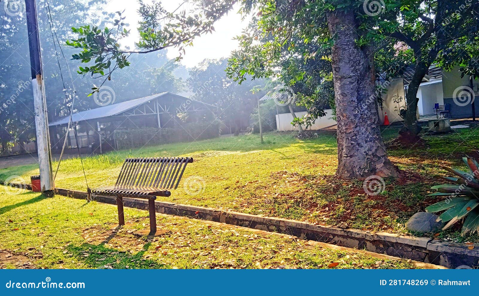 Sunrise in the Morning with Fresh Air and Tree Stock Image - Image of ...