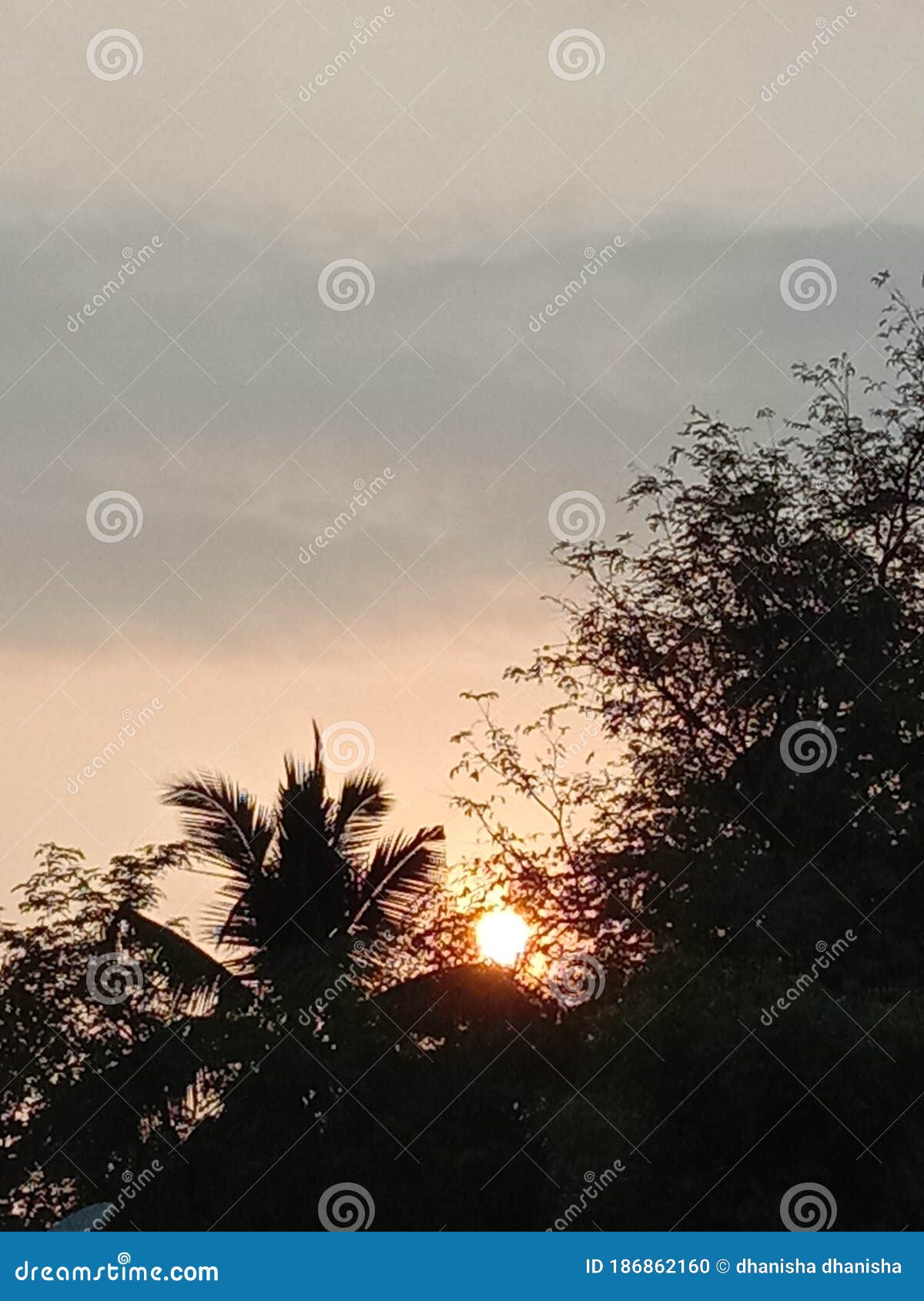 Sunrise Morning Morning Nature Beauty Stock Photo - Image of sunrise ...
