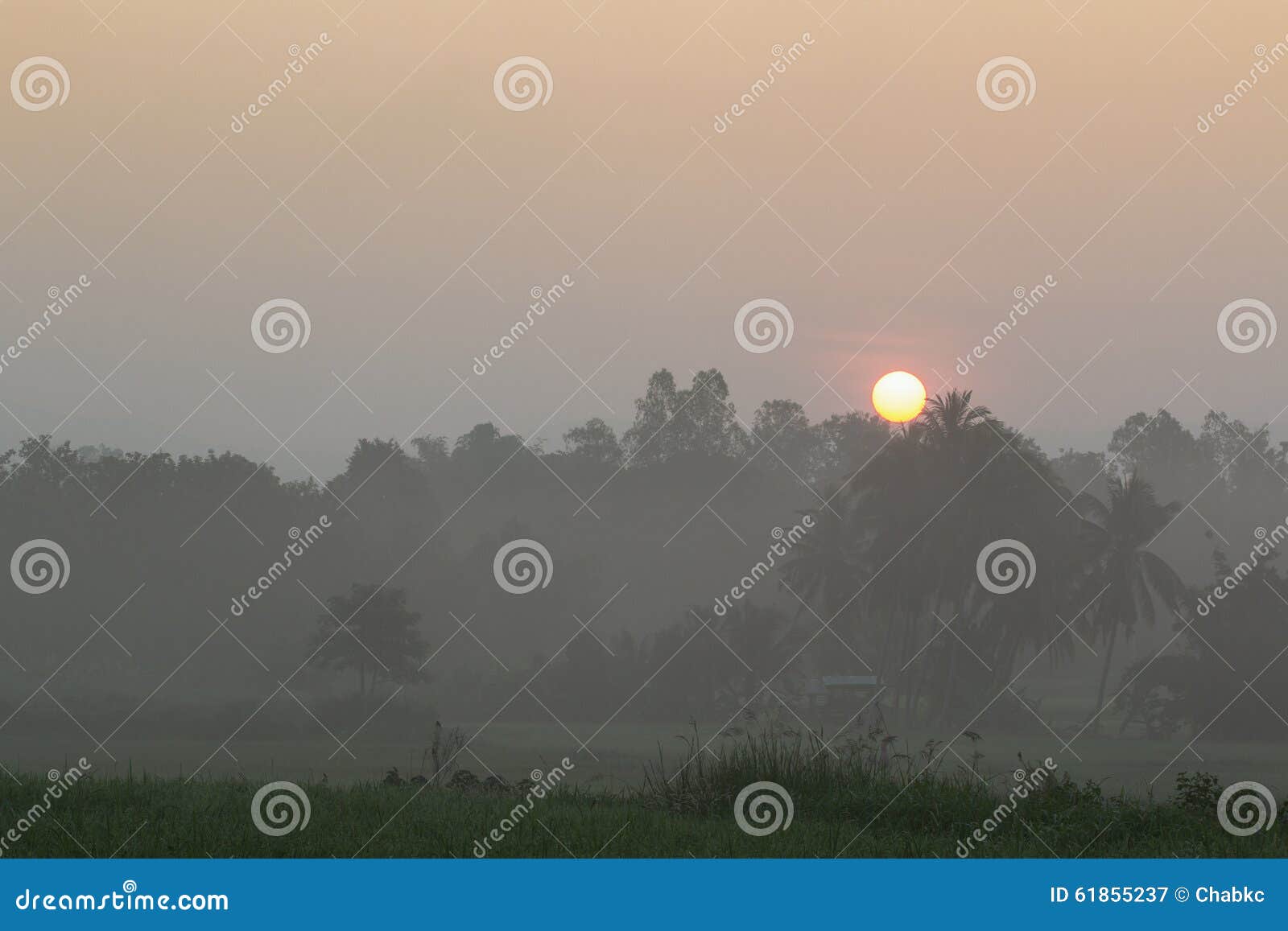 Sunrise in Morning with Smoke Stock Image - Image of growing ...