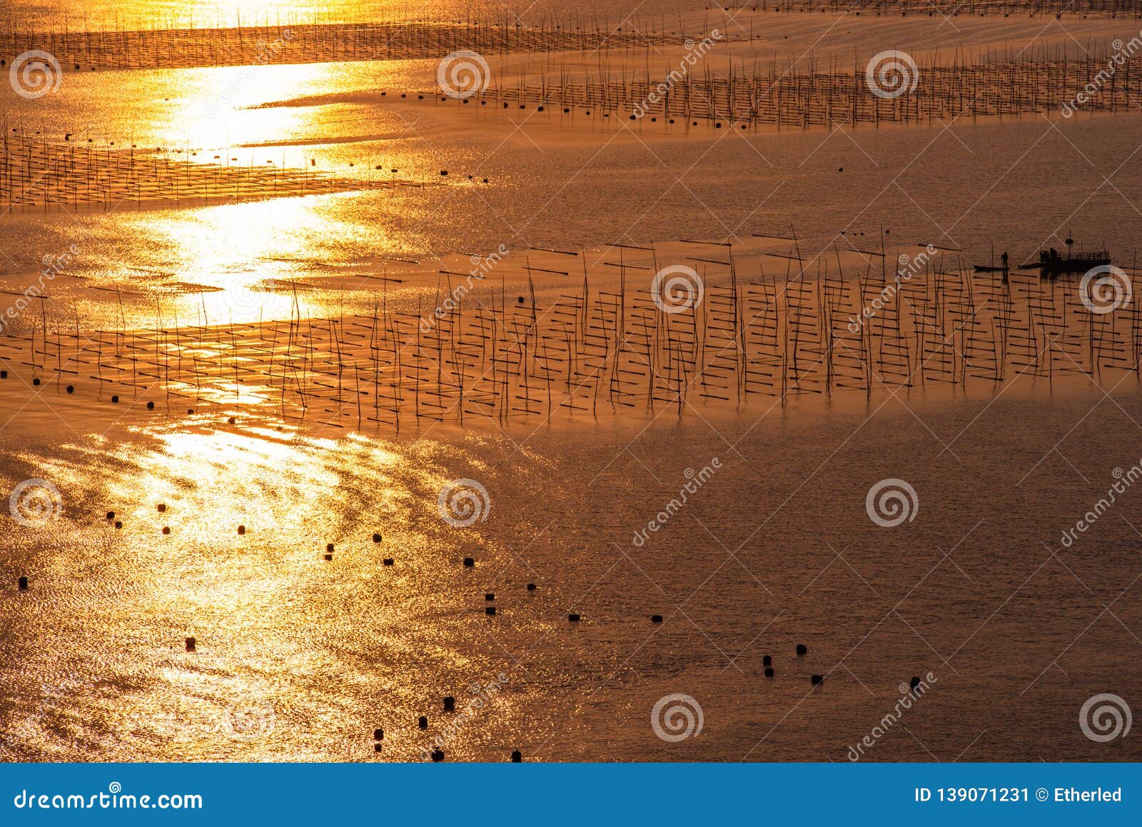 Golden Beach of XiaPu stock image. Image of tidal, mariculture - 139071231 Golden Beach of XiaPu stock image. Image of tidal, mariculture - 139071231