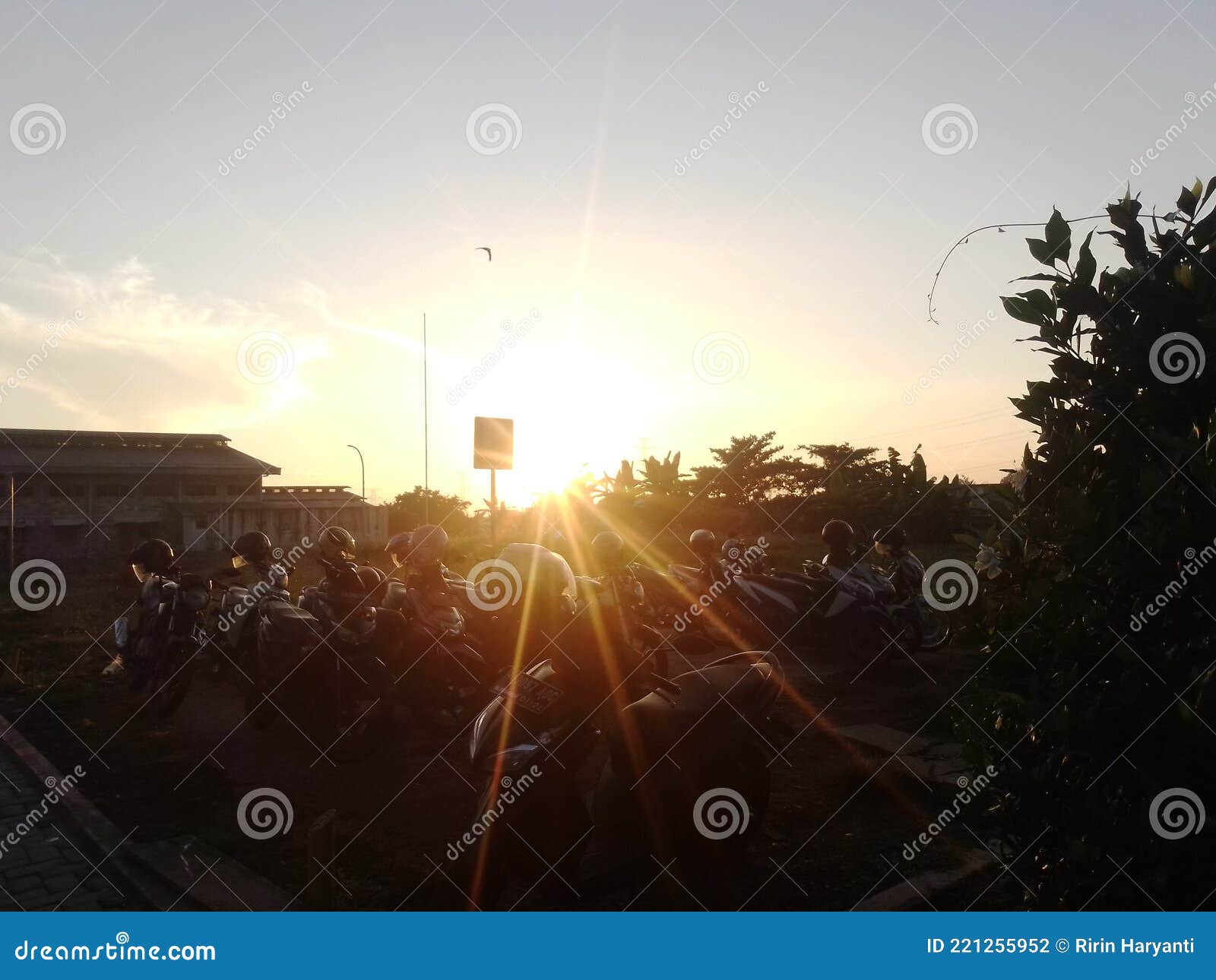 Sunrise motorcycle stock photo. Image of motorcycle - 221255952