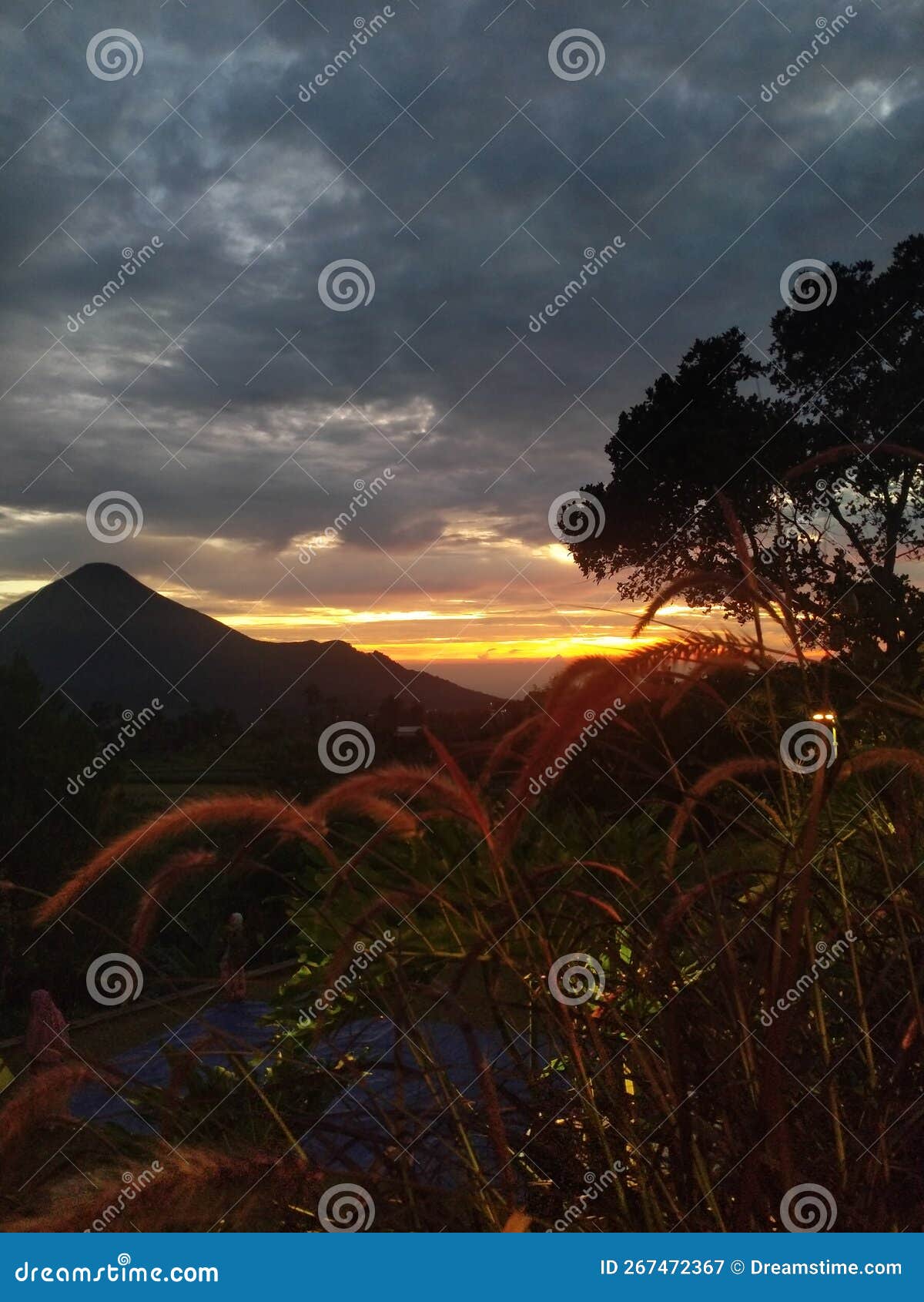 Sunrise in Mountain Trawas City Sunset Tree Sky Awan Stock Image ...