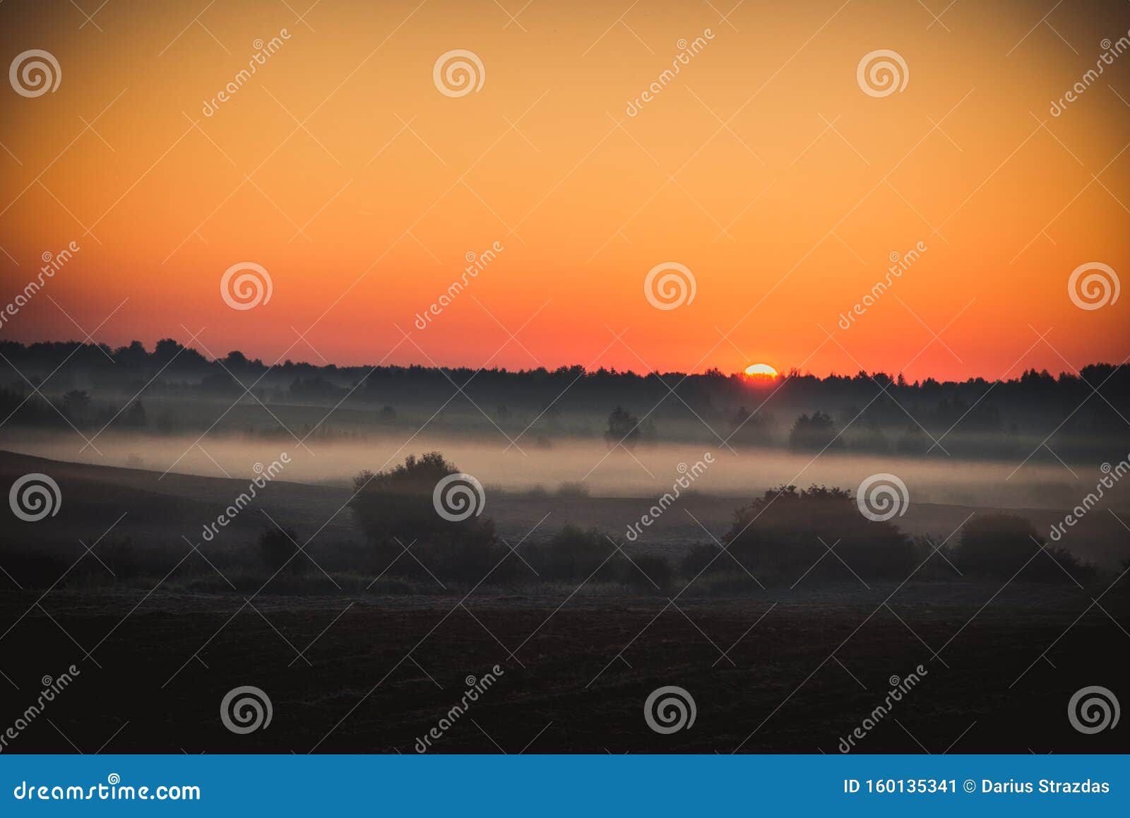 Sunrise in Nature Fields with Mist Stock Image - Image of misty, golden ...