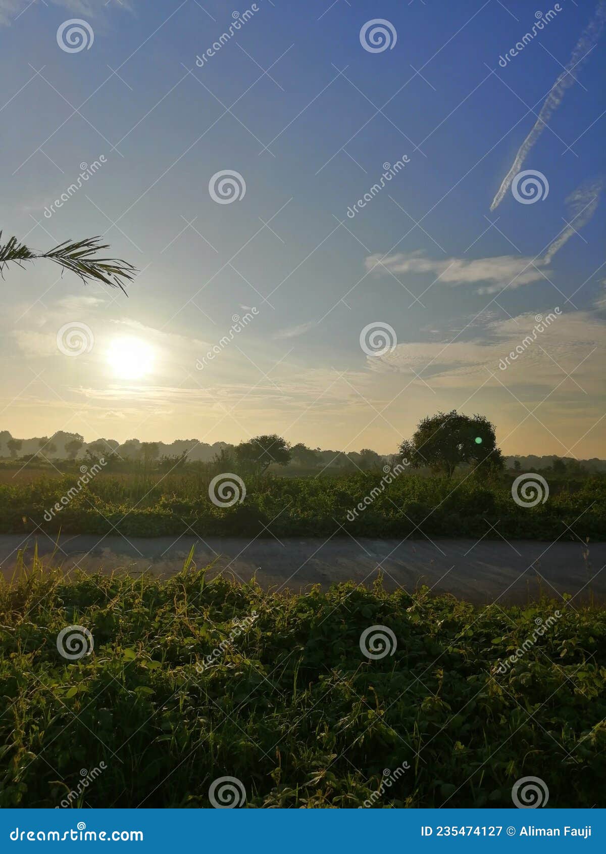 Sunrise with Nature and Green Grass Stock Image - Image of grass, pond ...