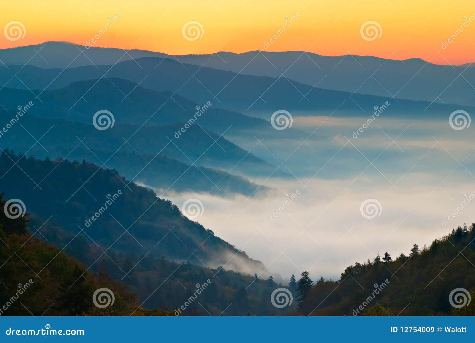 Sunrise at Newfound Gap stock image. Image of trees, patterns - 12754009