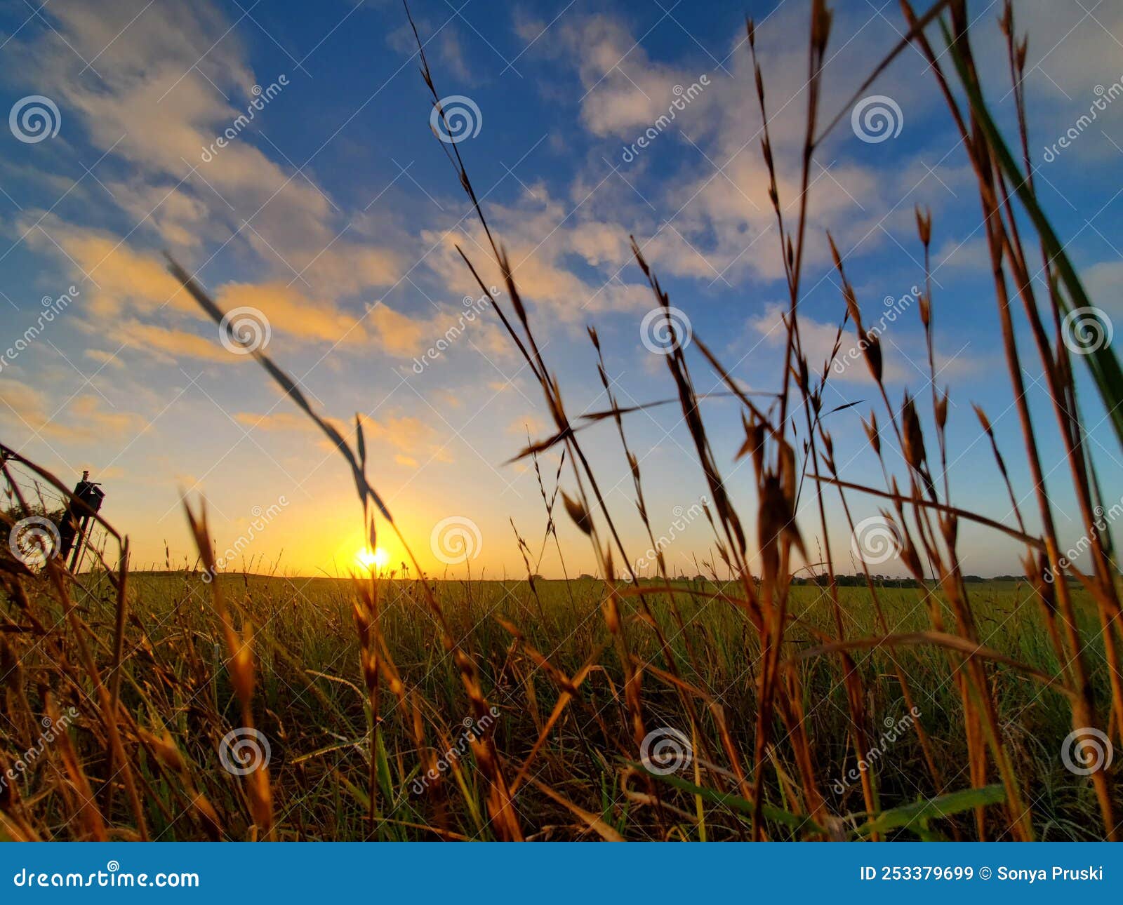 Sunrise Open Grassland, Clouds Stock Image - Image of crop, nature ...