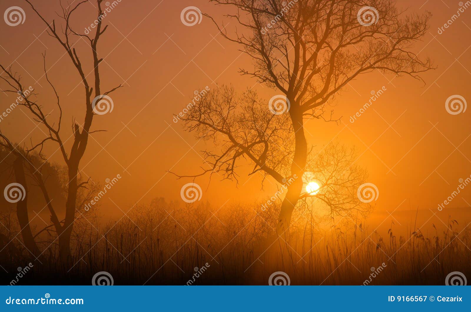 Sunrise in orange stock image. Image of sunset, bright - 9166567