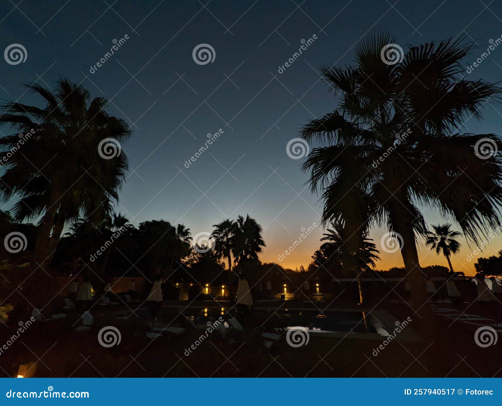 Sunrise with Orange Sky and Backlit Palm Trees Stock Image - Image of ...