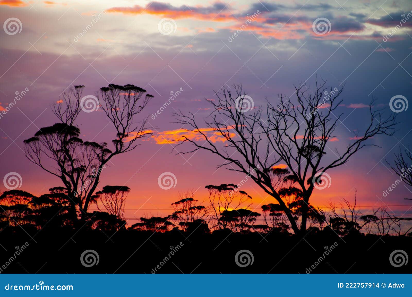Sunrise in the Outback stock photo. Image of beauty - 222757914
