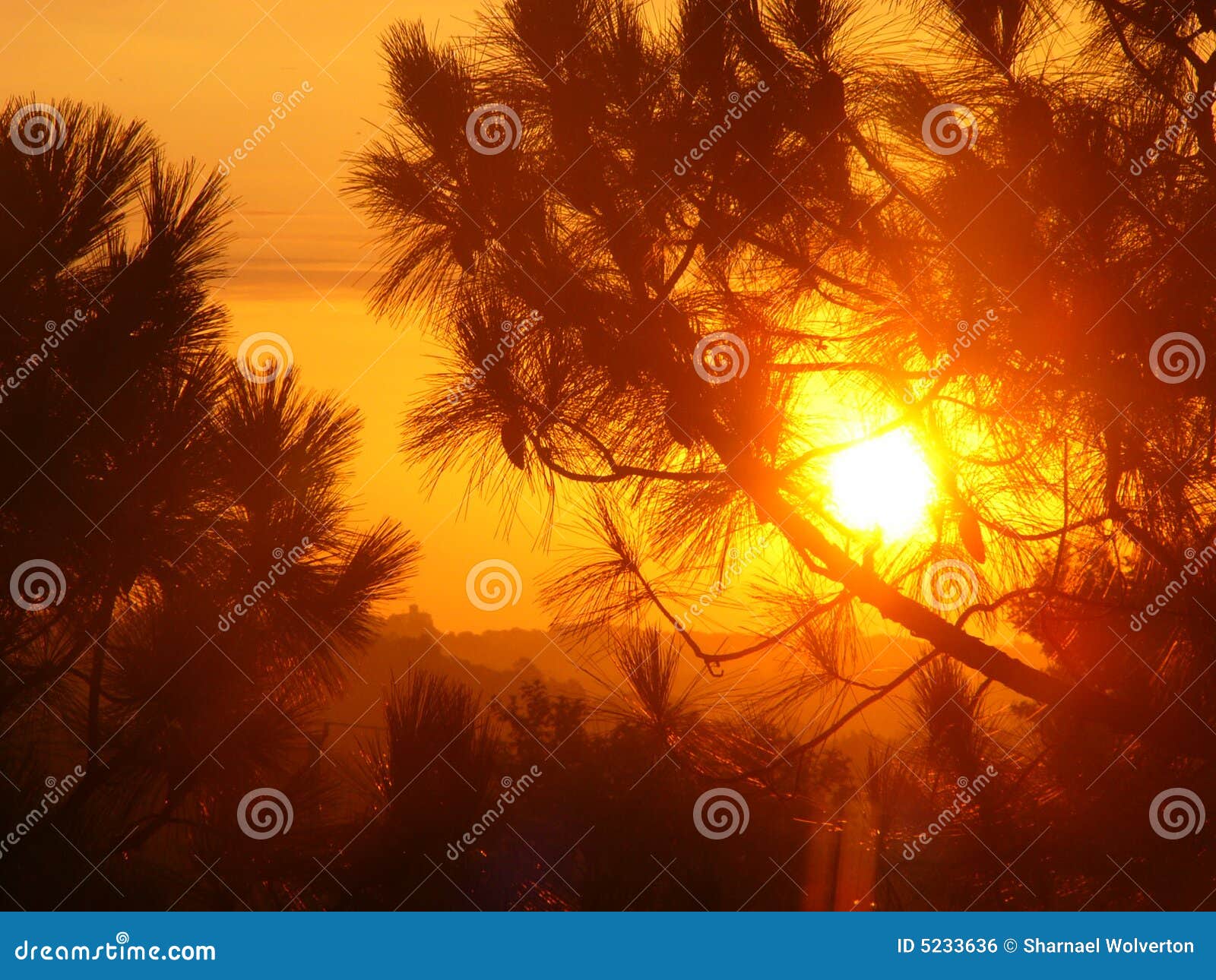 Sunrise Outside My Hotel Room Window Stock Photo - Image of haze, warm ...