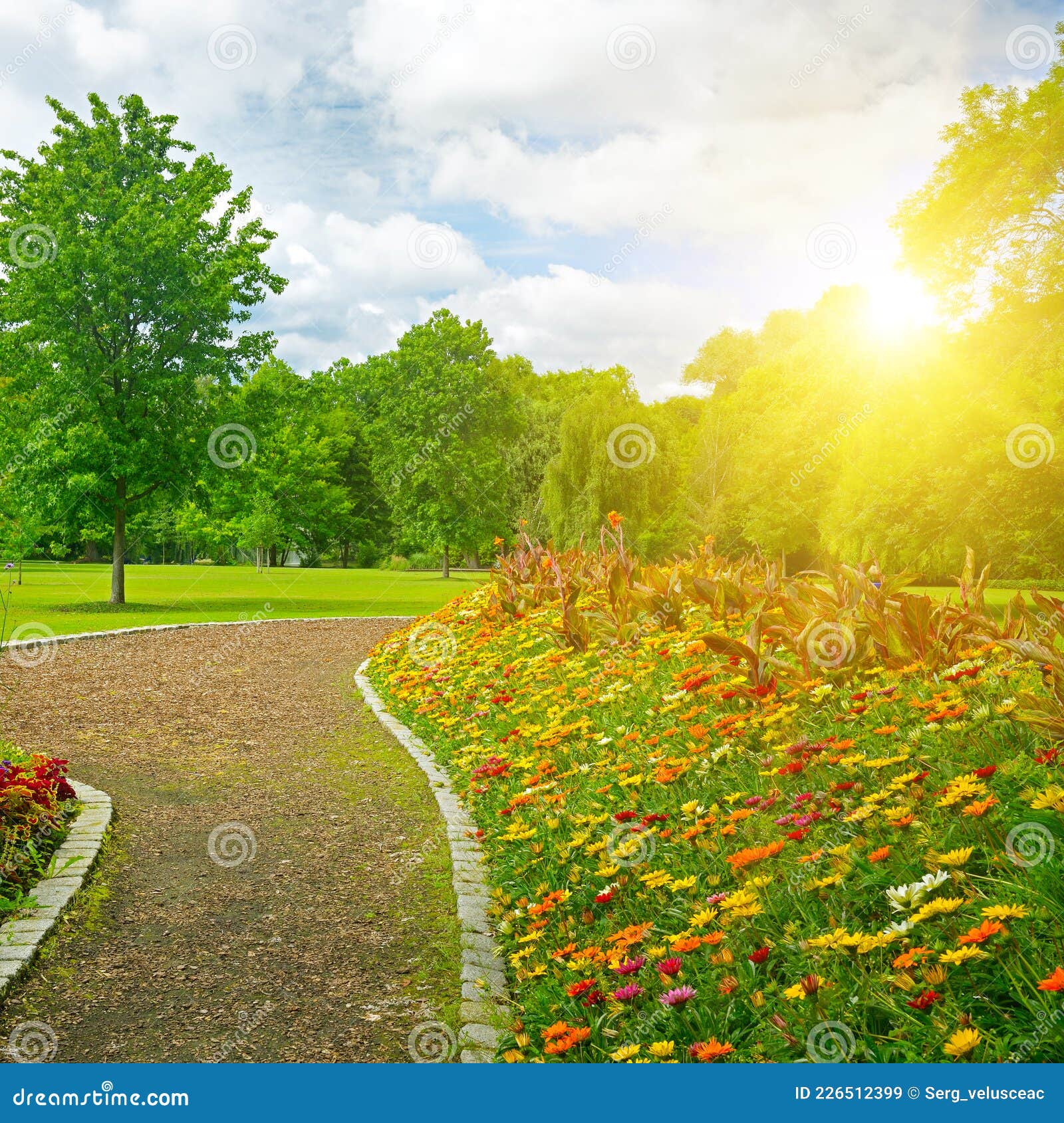 Sunrise Over Beautiful Meadow with Flowers and Path Stock Image - Image ...