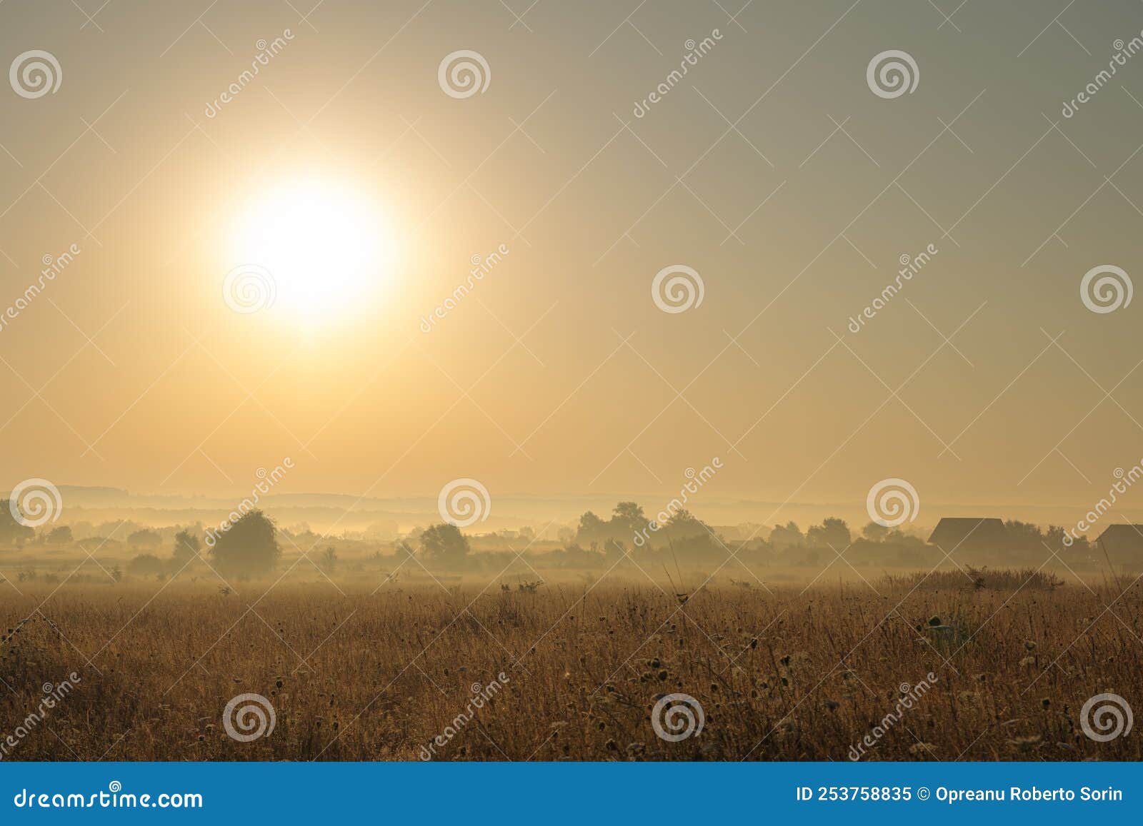 Sunrise Over the Country Field Stock Image - Image of nature, pasture ...