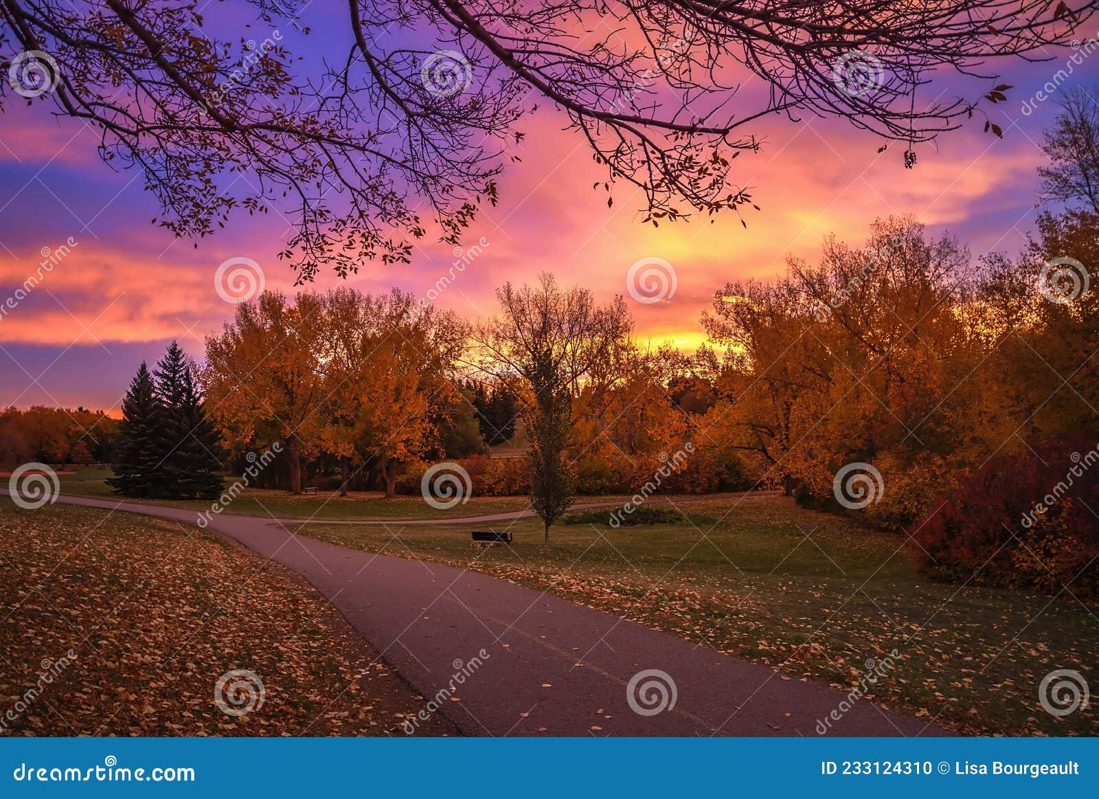 Sunrise Over a Fall Park Pathway Stock Photo - Image of leaf, alberta ...