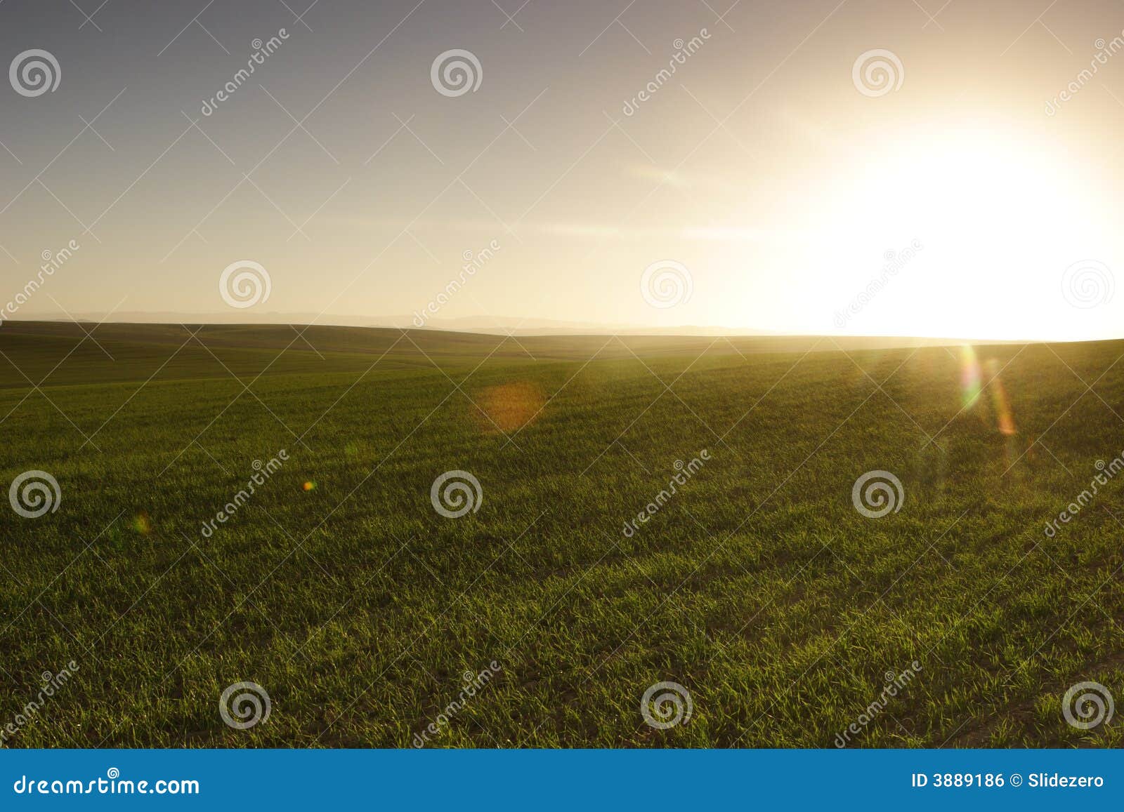 Sunrise over the field stock photo. Image of freshness - 3889186
