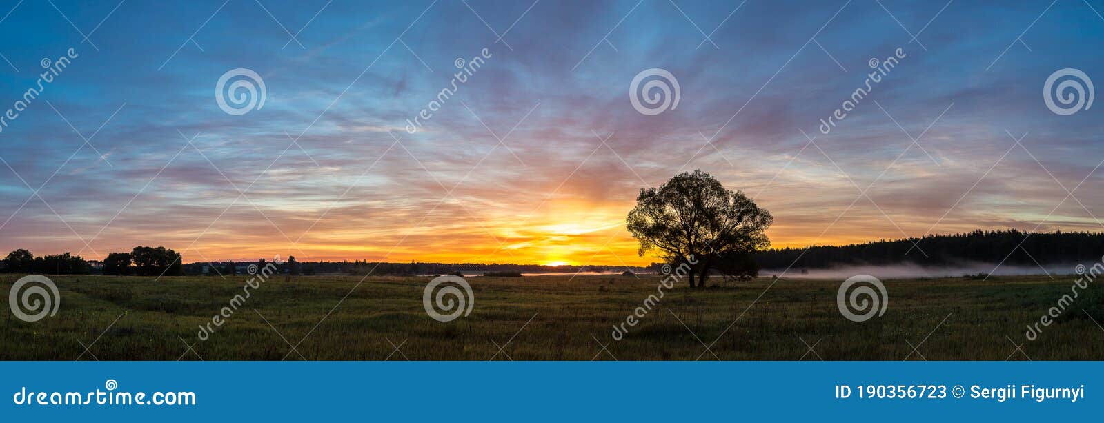 Sunrise Over Field and Tree Stock Image - Image of single, view: 190356723