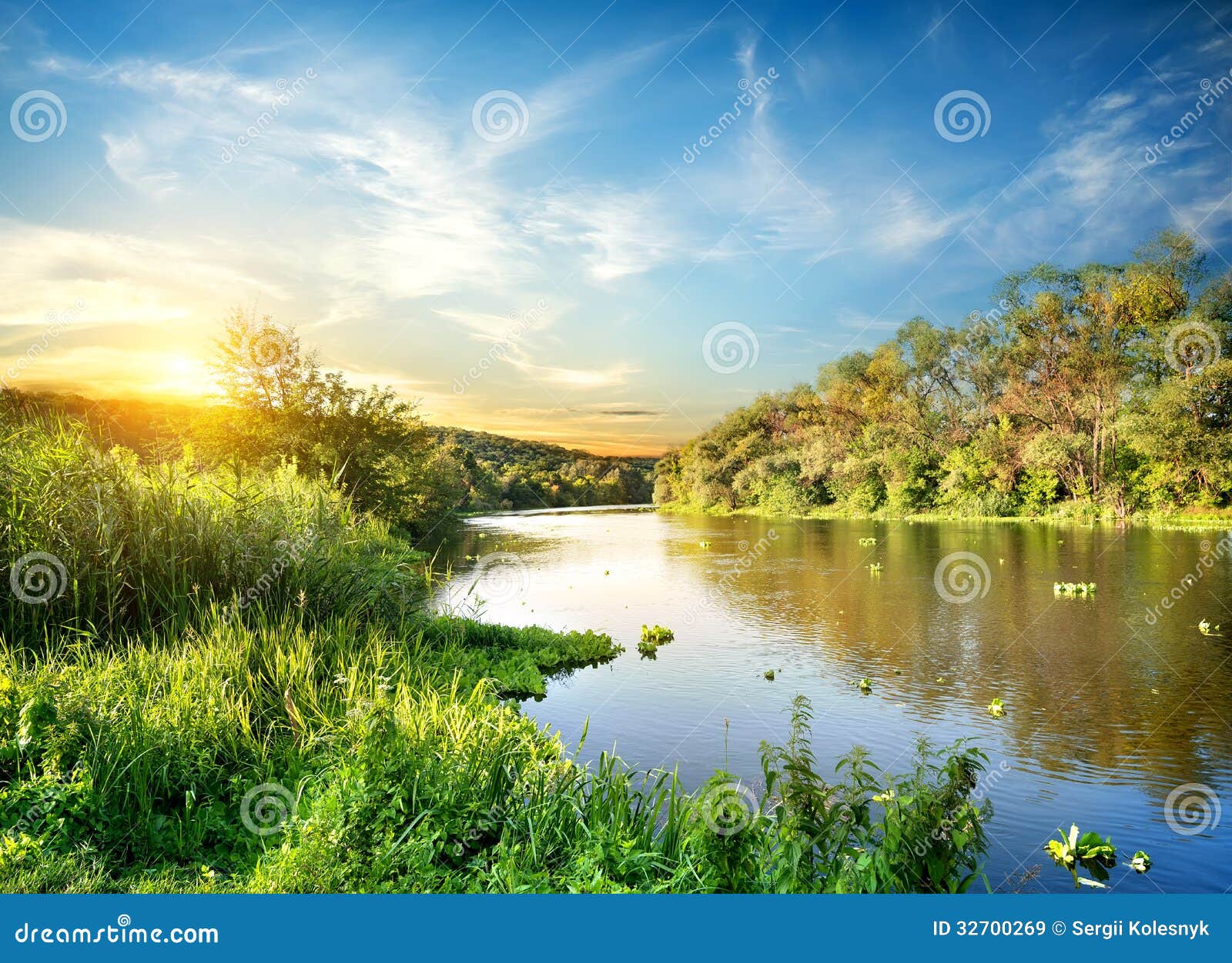 Sunrise Over the Forest River Stock Image - Image of growth, shore ...