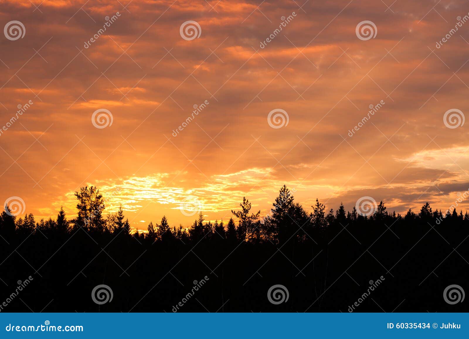 Sunrise Over Forest Sun Rays Stock Photo - Image of light, countryside ...