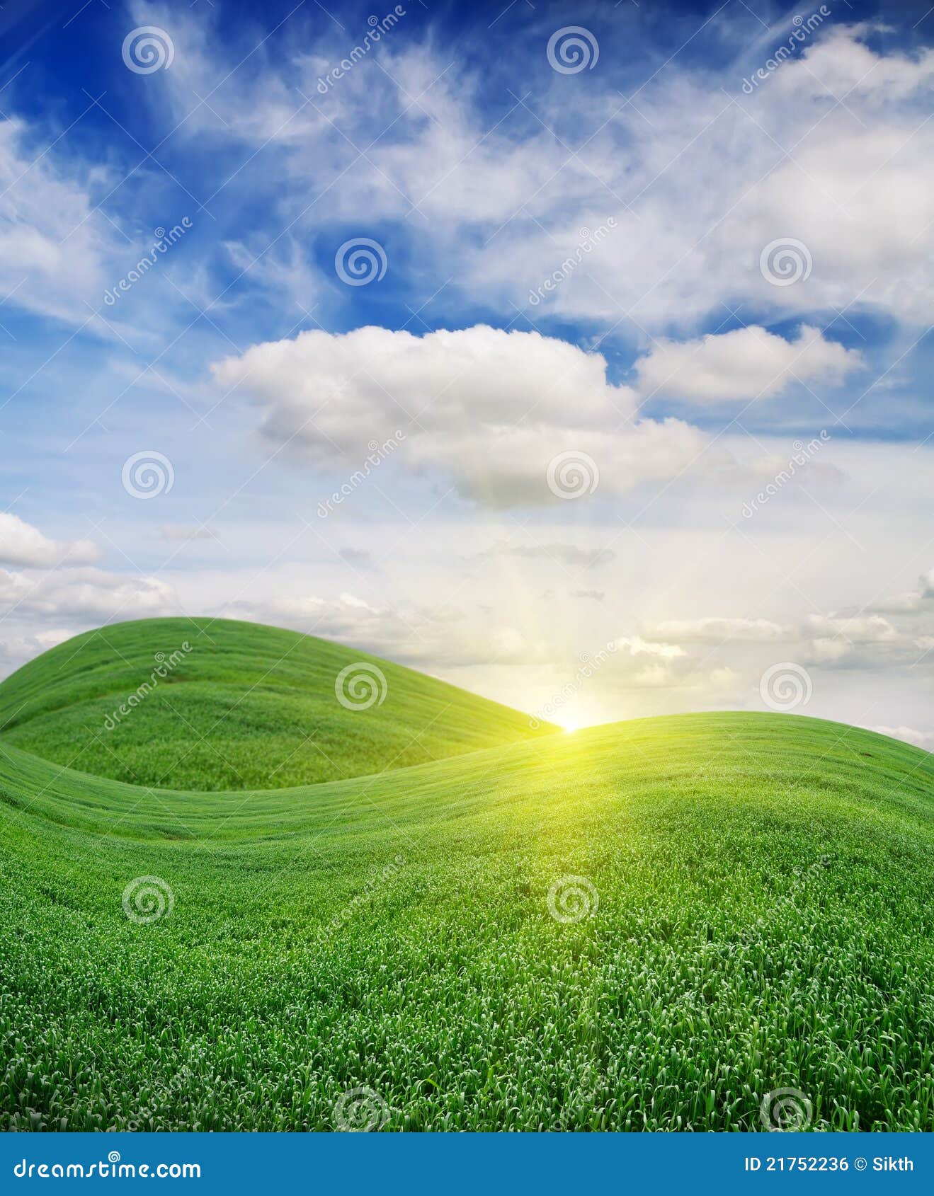 Sunrise over Green Field stock photo. Image of green - 21752236