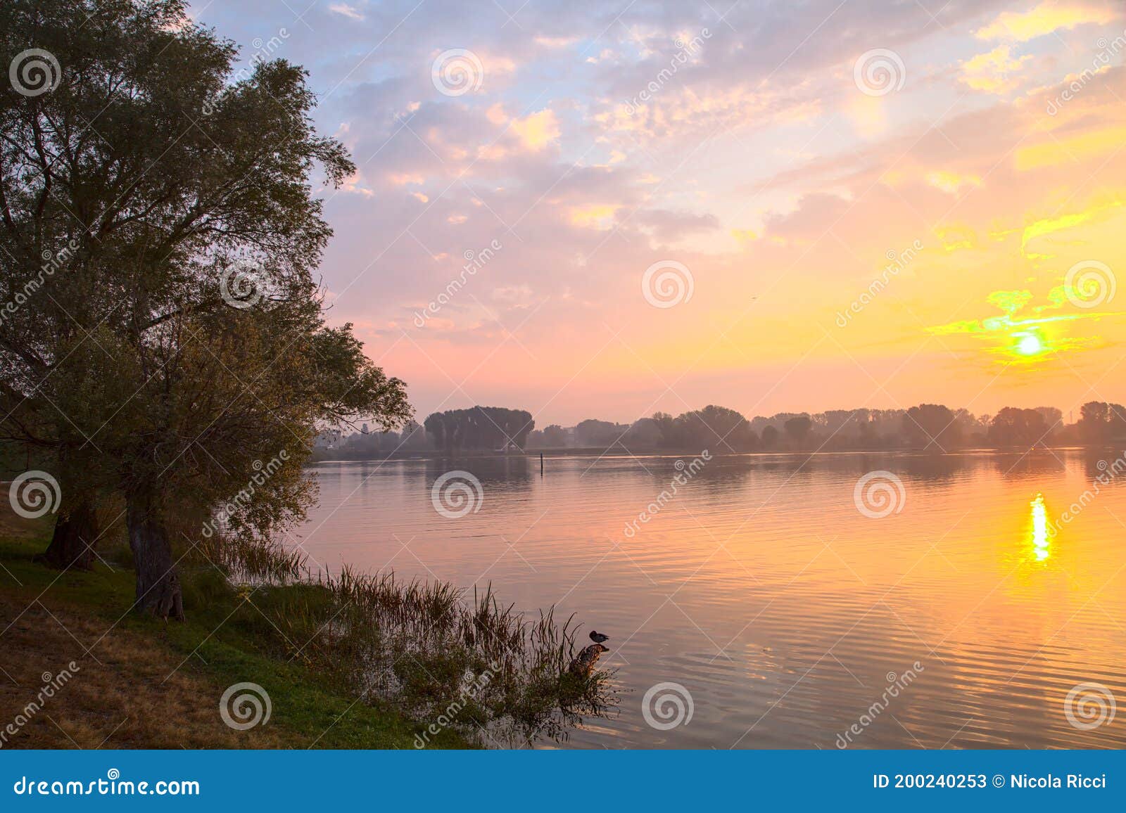 Sunrise Over a Lake with Mist in Autumn Framed by a Tree Stock Image ...