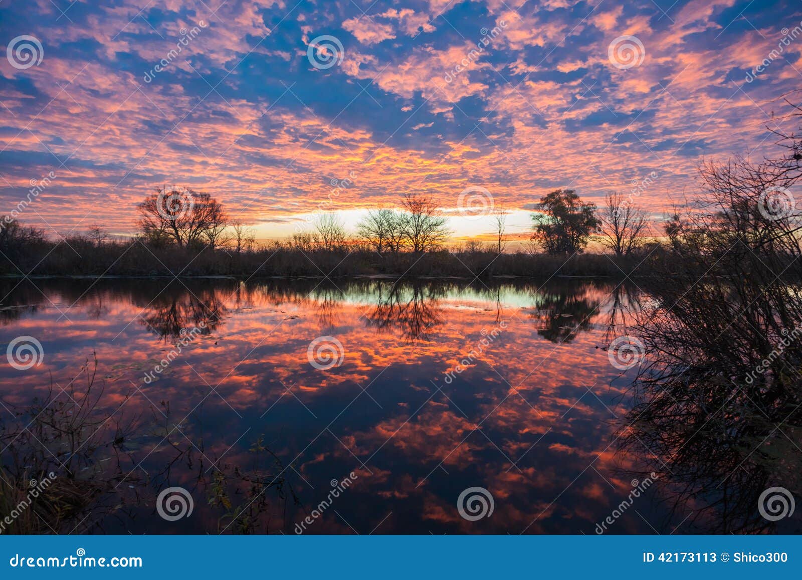Sunrise Over the Lake with Reflection of Bare Trees in the Water. Stock ...