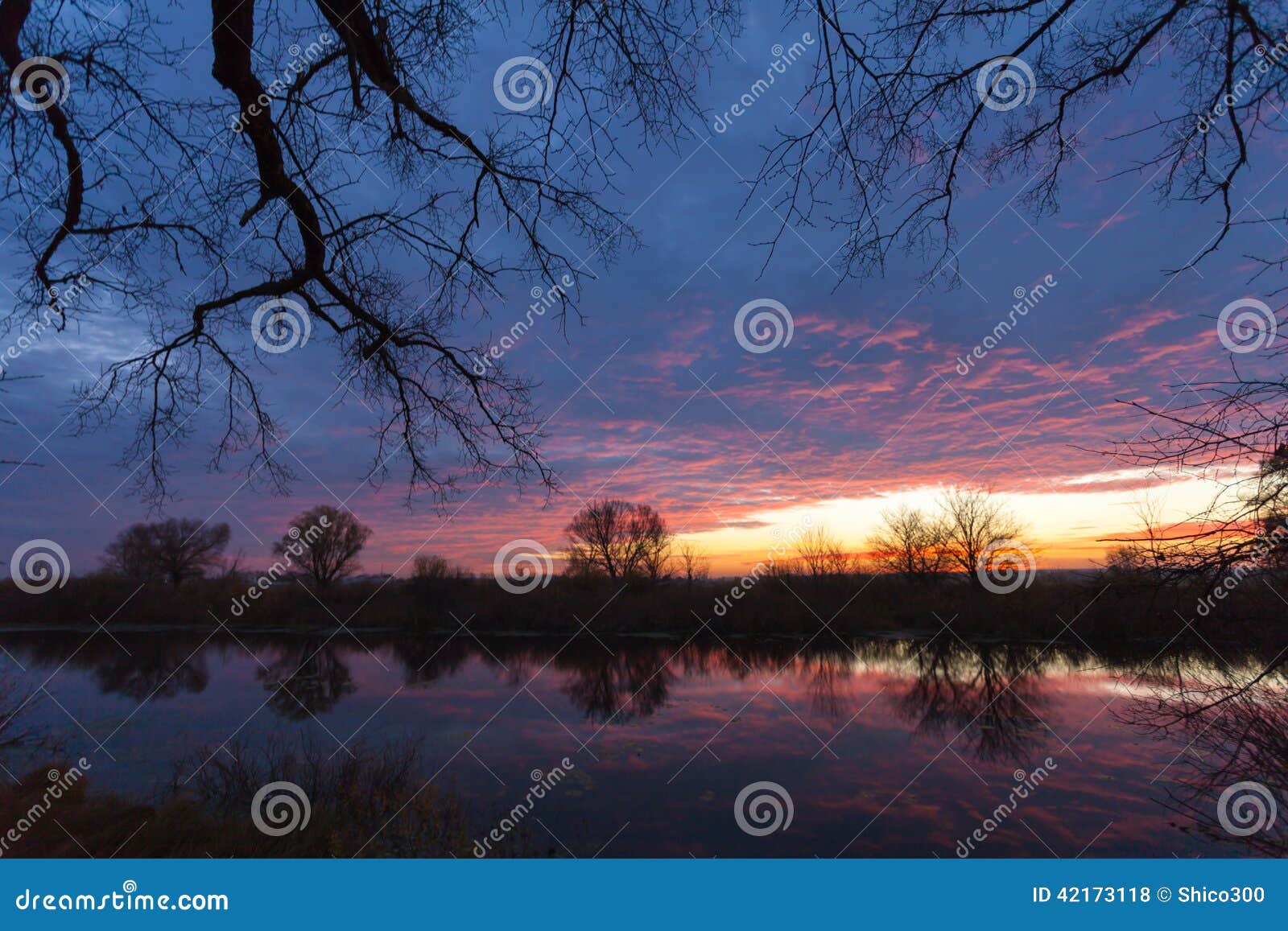 Sunrise Over the Lake with Reflection of Bare Trees in the Water. Stock ...