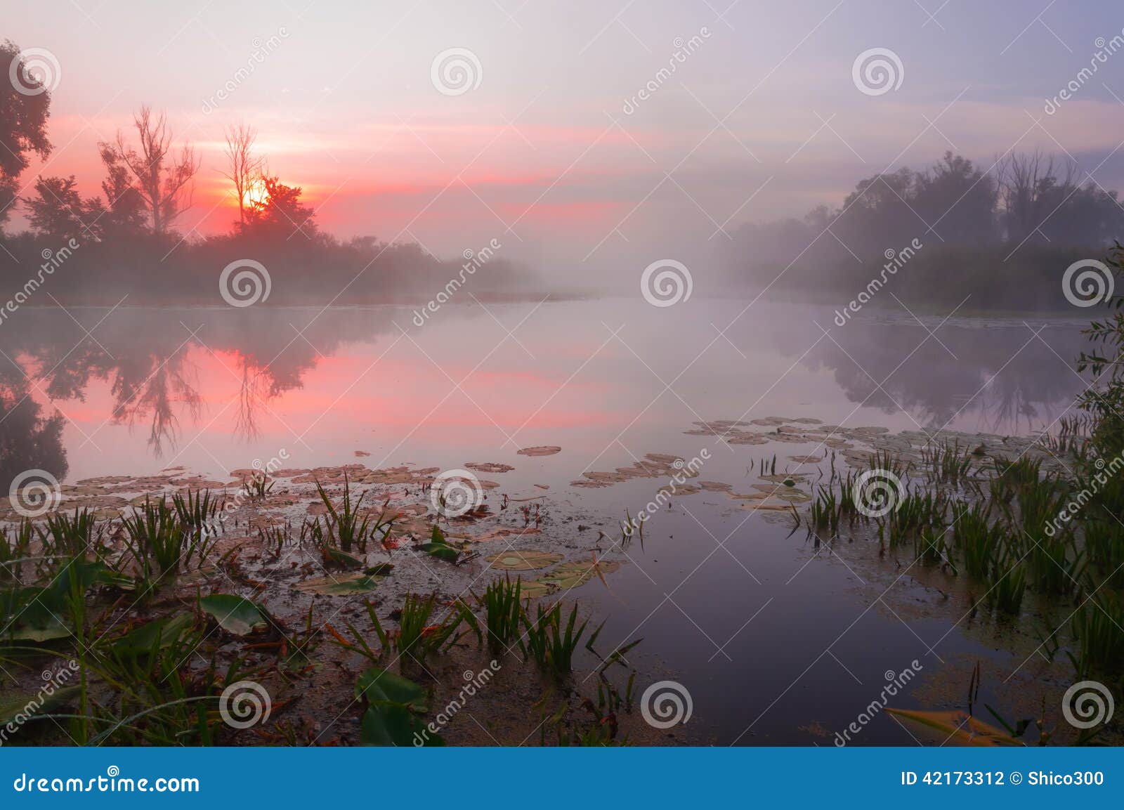 Sunrise Over the Lake with Reflection of Bare Trees in the Water. Stock ...
