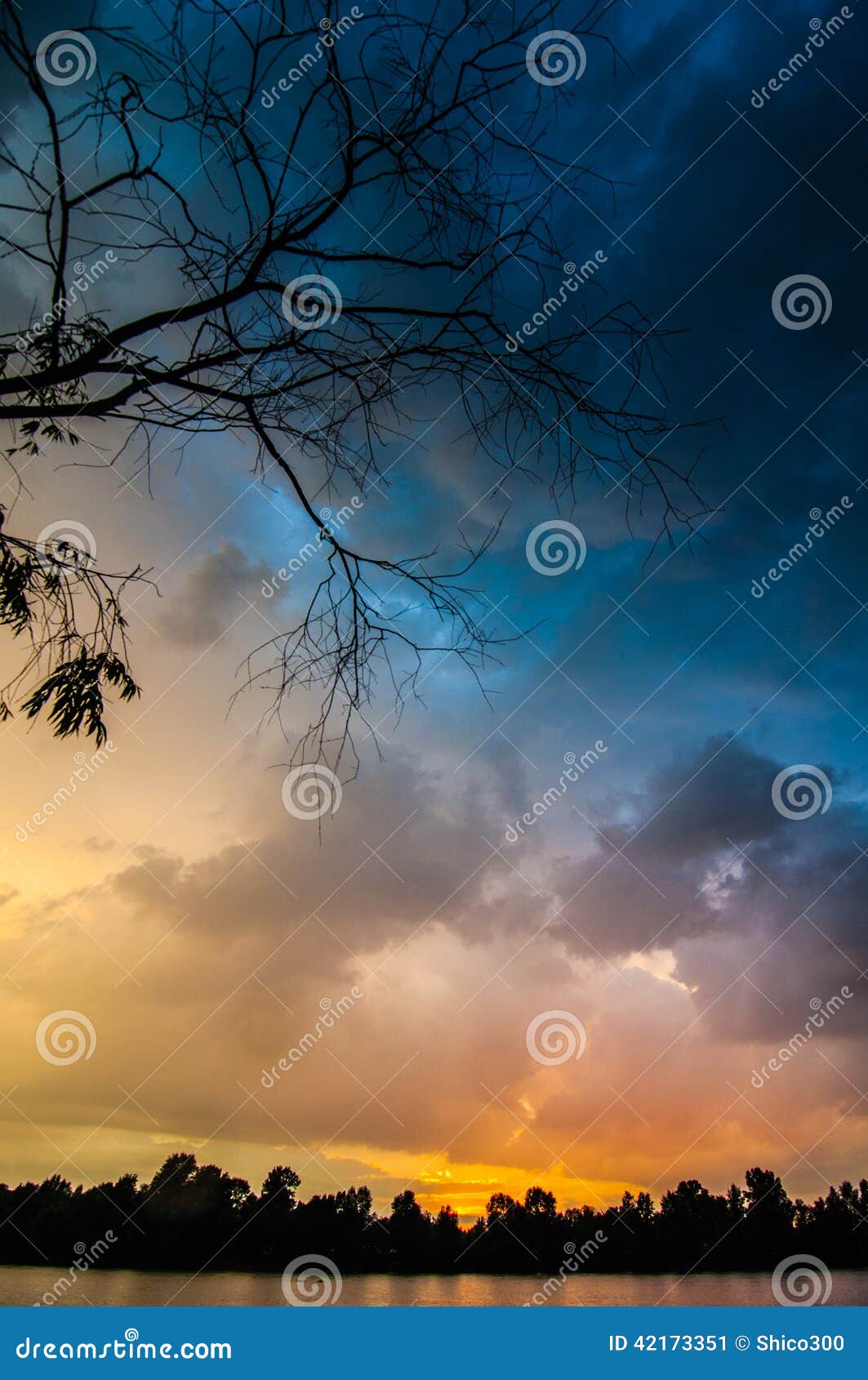 Sunrise Over the Lake with Reflection of Bare Trees in the Water. Stock ...