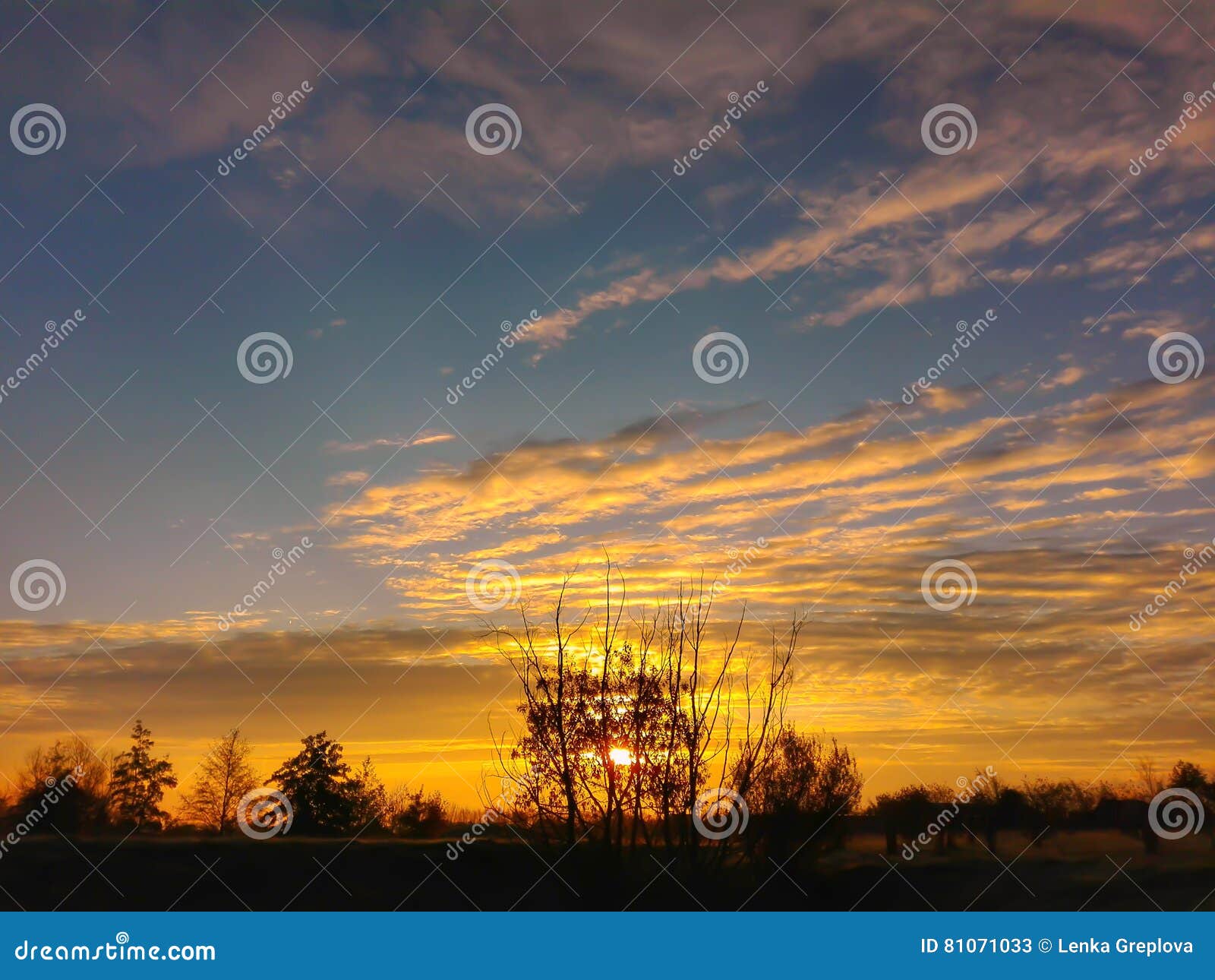 Sunrise stock image. Image of beauty, morning, life, nature - 81071033