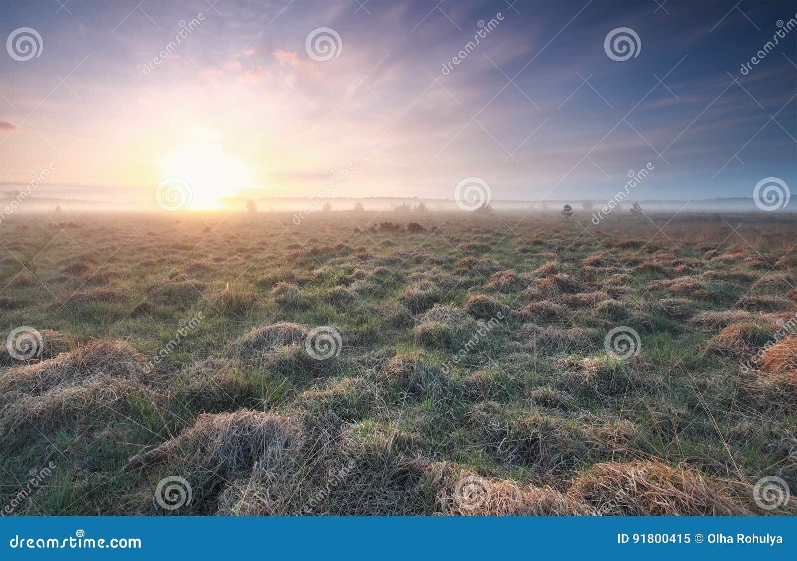 Sunrise Over Marsh in Spring Stock Image - Image of mist, wild: 91800415