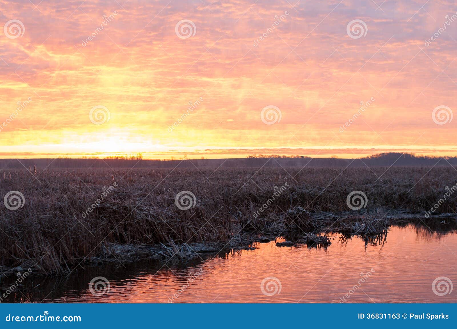 Sunrise Over the Marsh stock image. Image of national - 36831163
