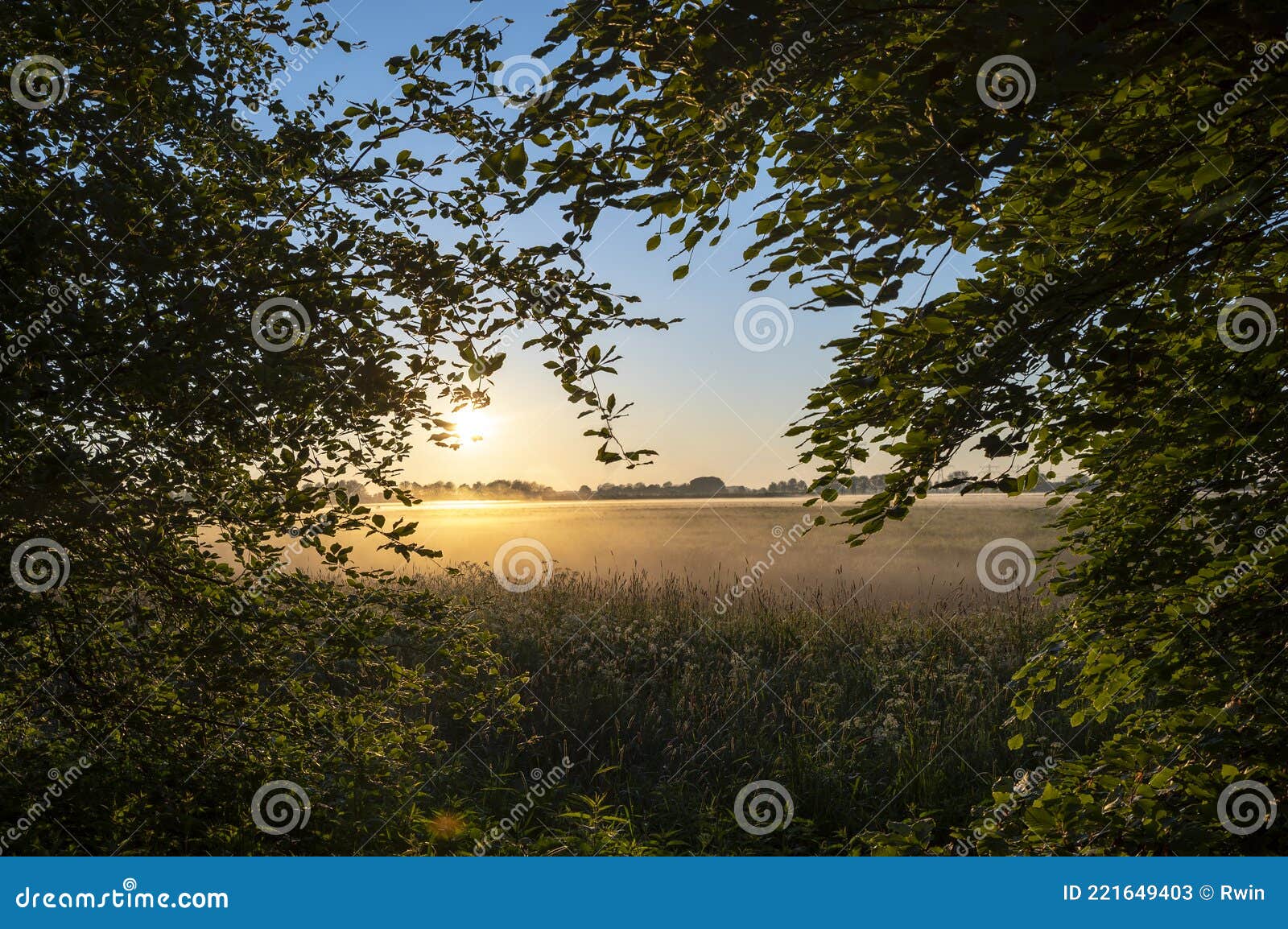Sunrise Over Meadows with Light through the Trees Stock Image - Image ...