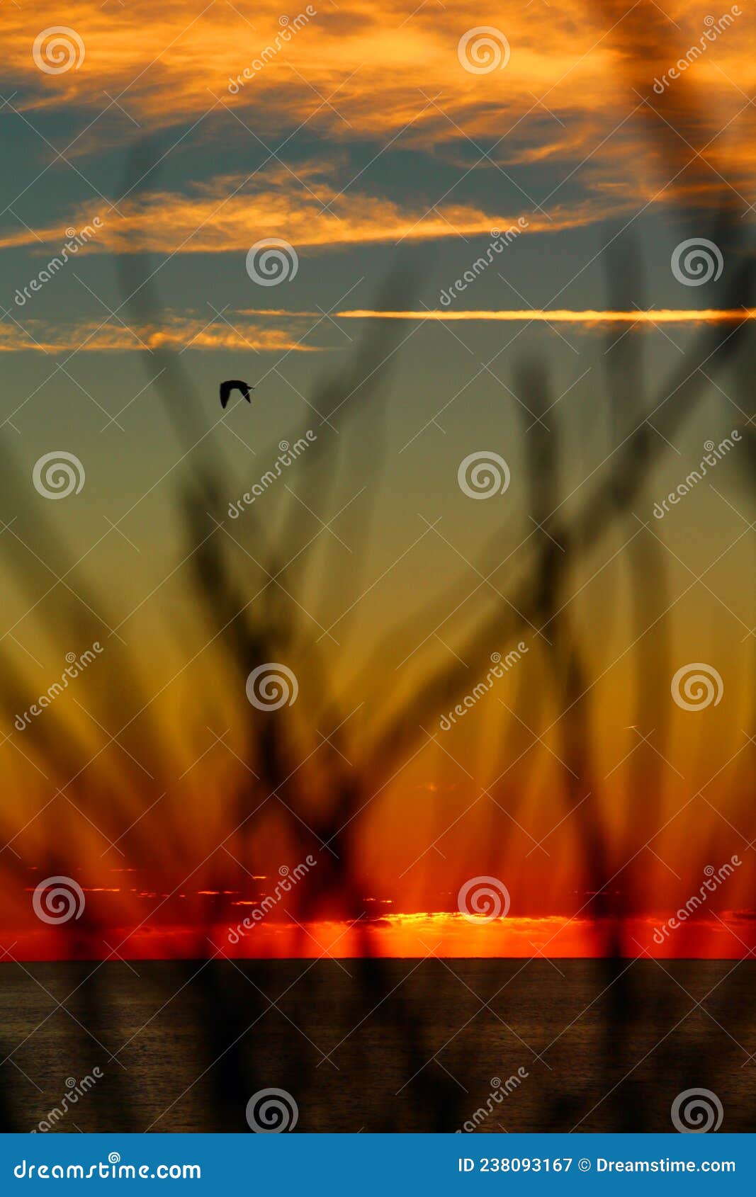 Sunrise Over the Mediterranean Orange Color Stock Image - Image of ...