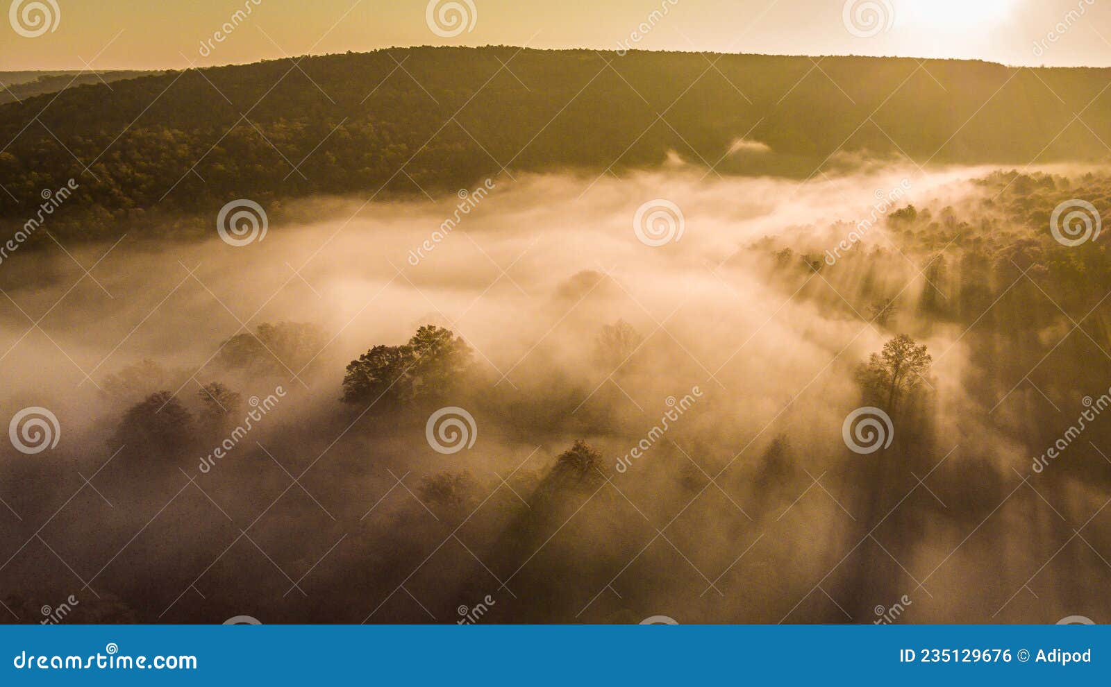 Sunrise over misty forest stock photo. Image of sunshine - 235129676