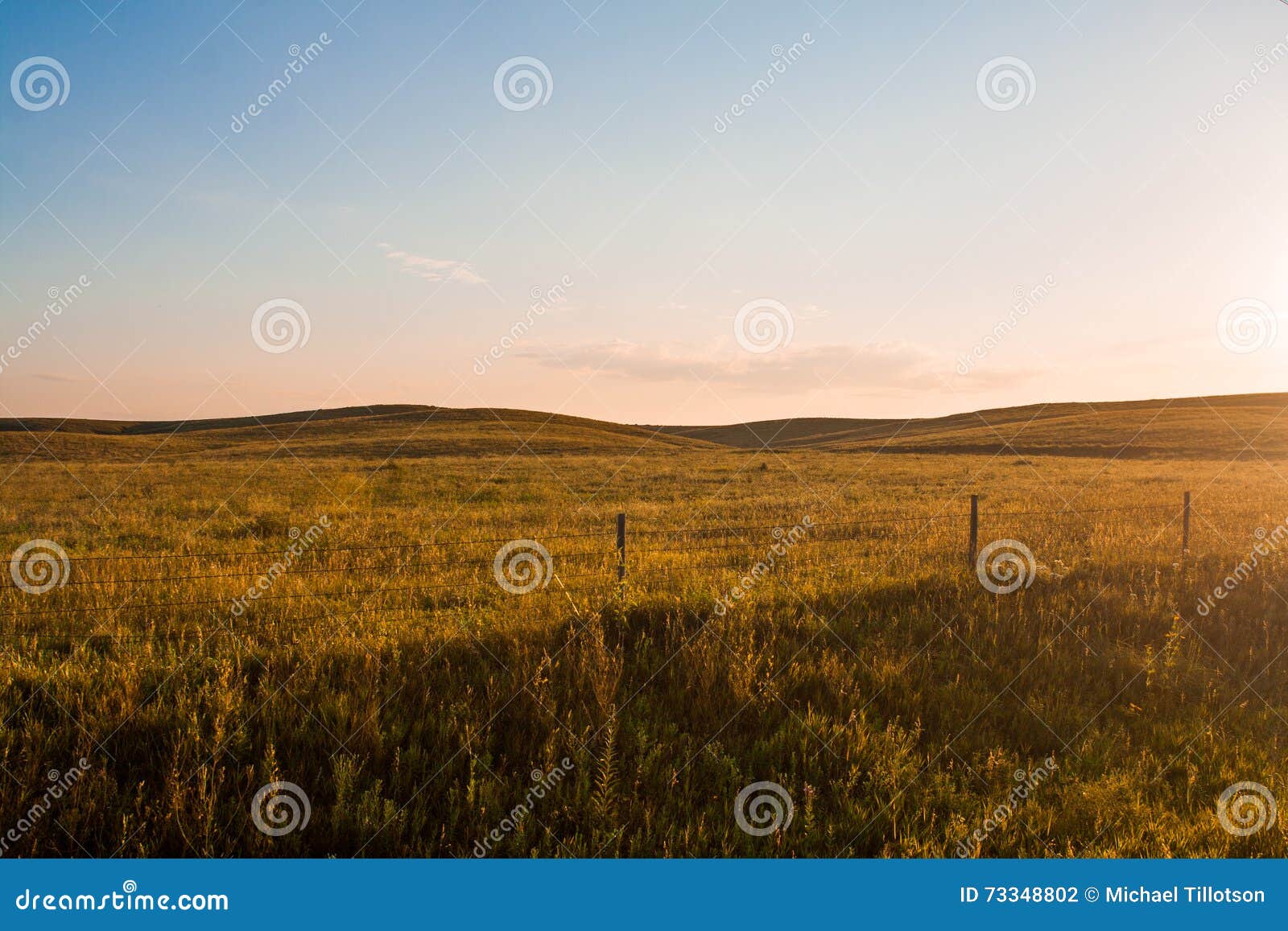 Sunrise over the Pasture stock photo. Image of fence - 73348802