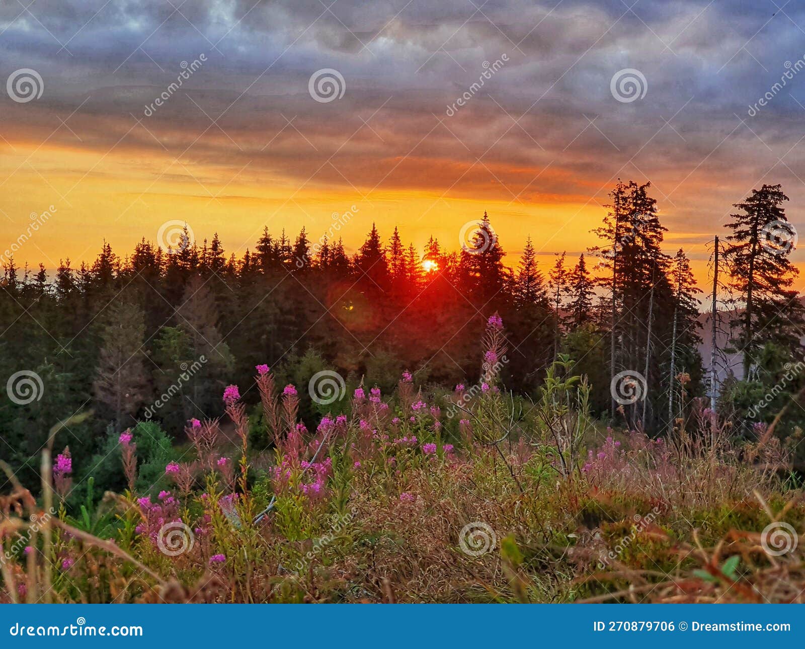 Sunrise over pick stock photo. Image of prairie, meadow - 270879706