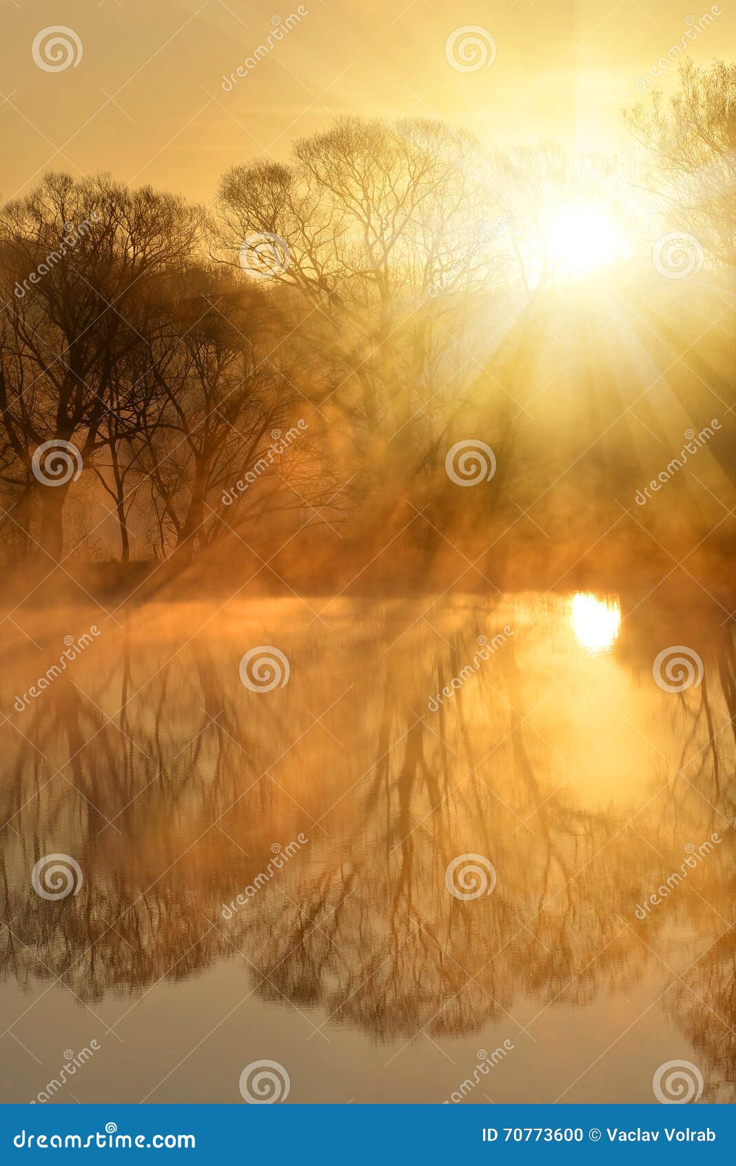 Sunrise over the pond stock photo. Image of mist, nature - 70773600