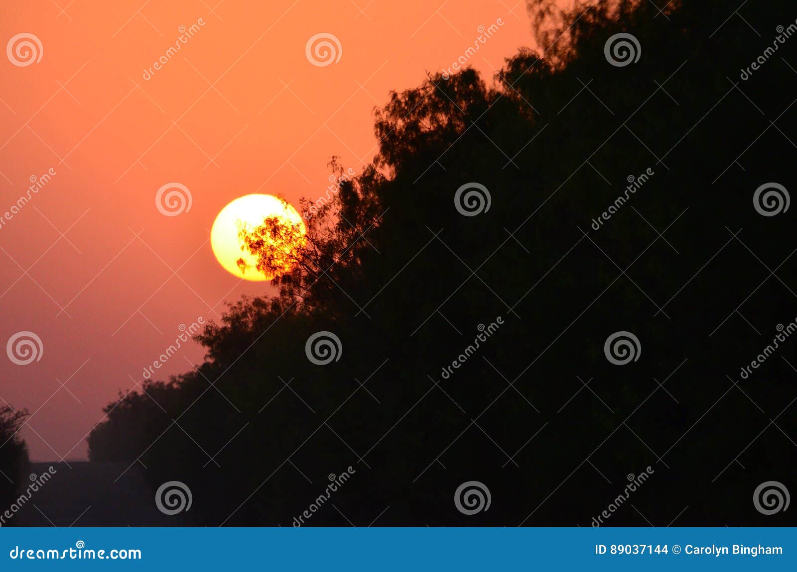 Sunrise over the Ranch stock photo. Image of sunshine - 89037144