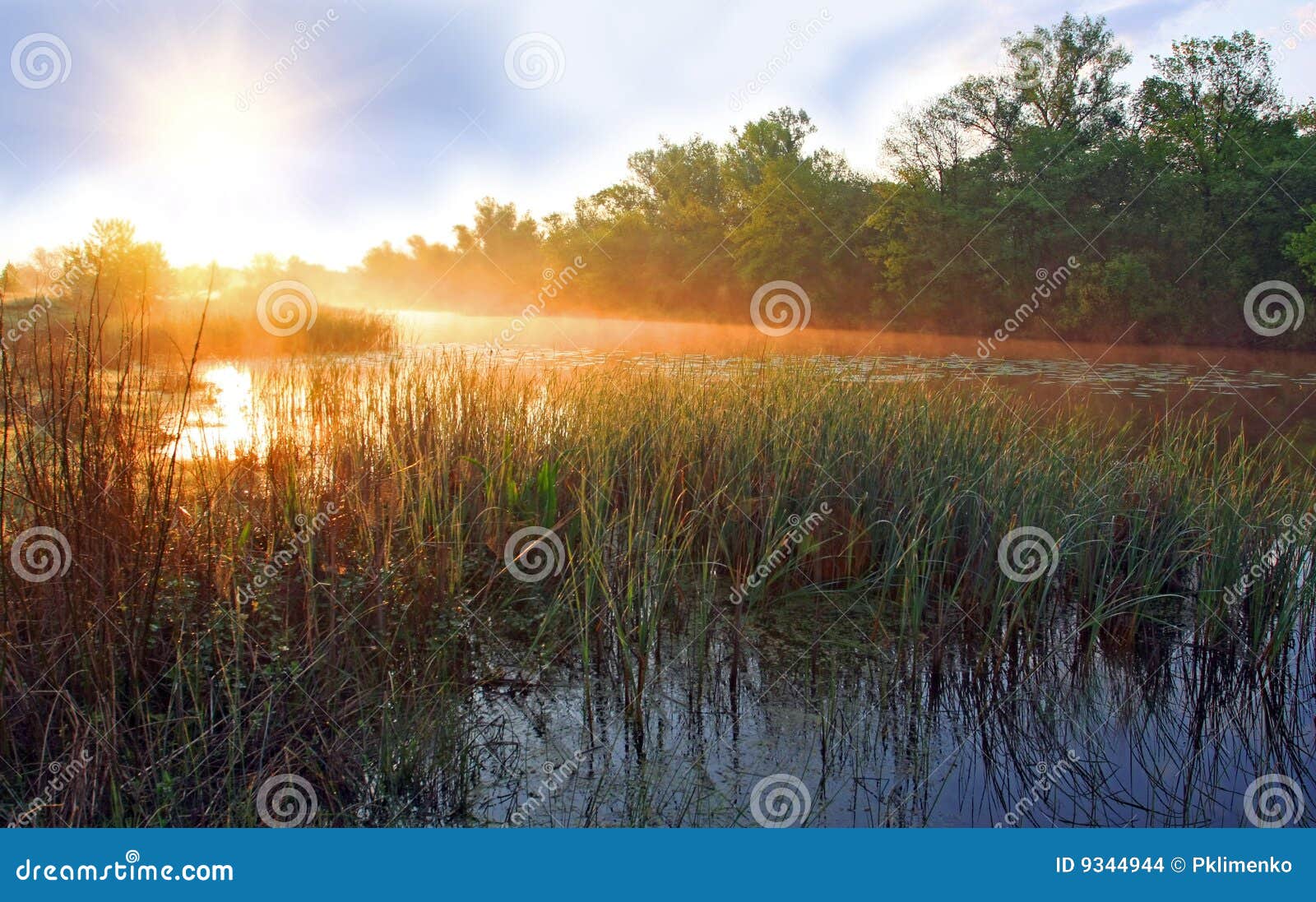 Sunrise over river stock photo. Image of morning, forest - 9344944