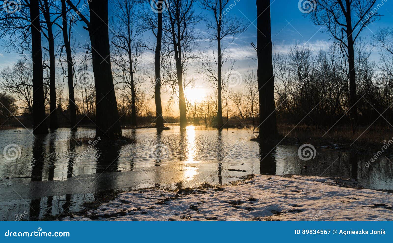Sunrise over a river stock image. Image of active, adventure - 89834567