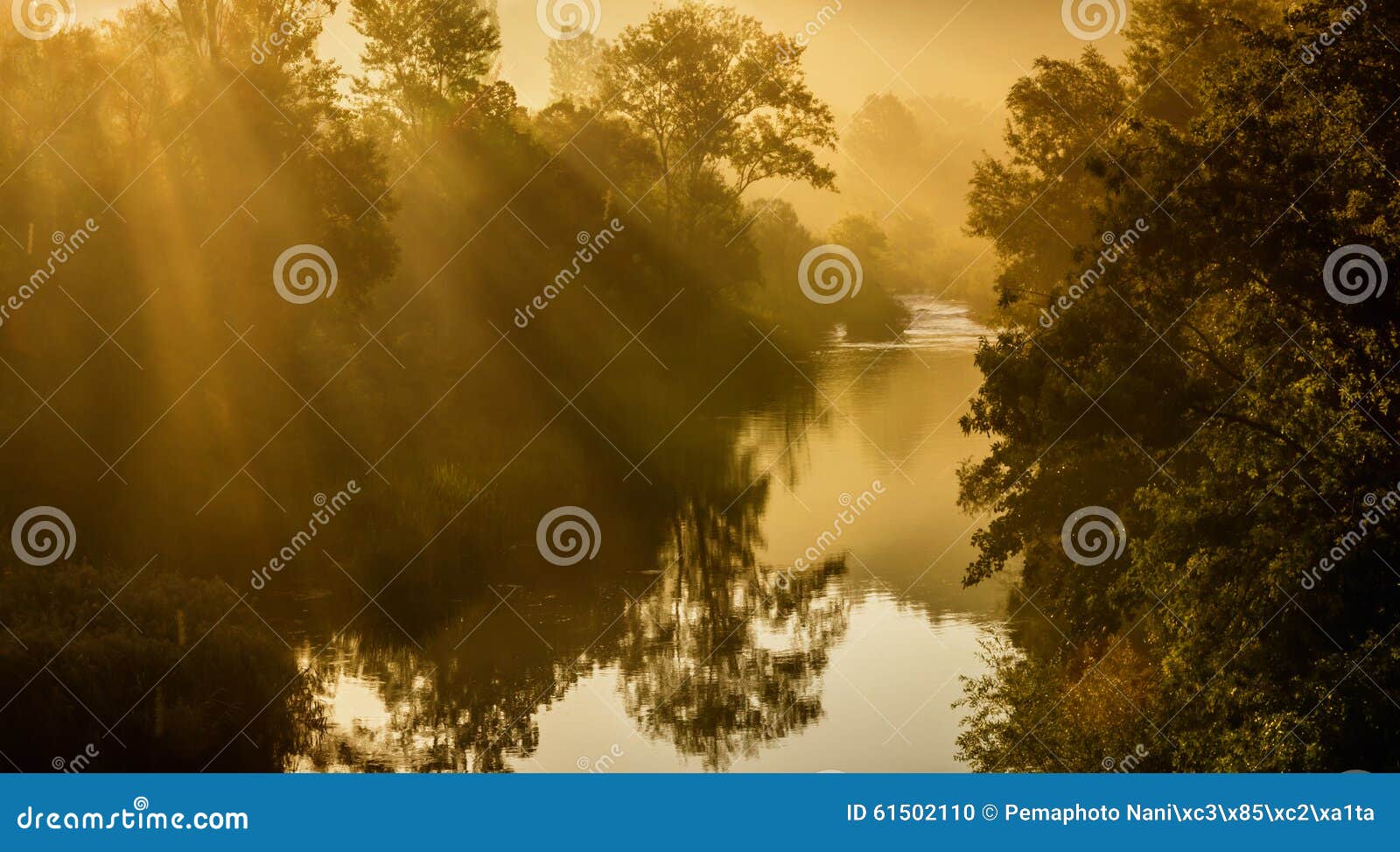 Sunrise Over River stock photo. Image of sunrays, treesn - 61502110